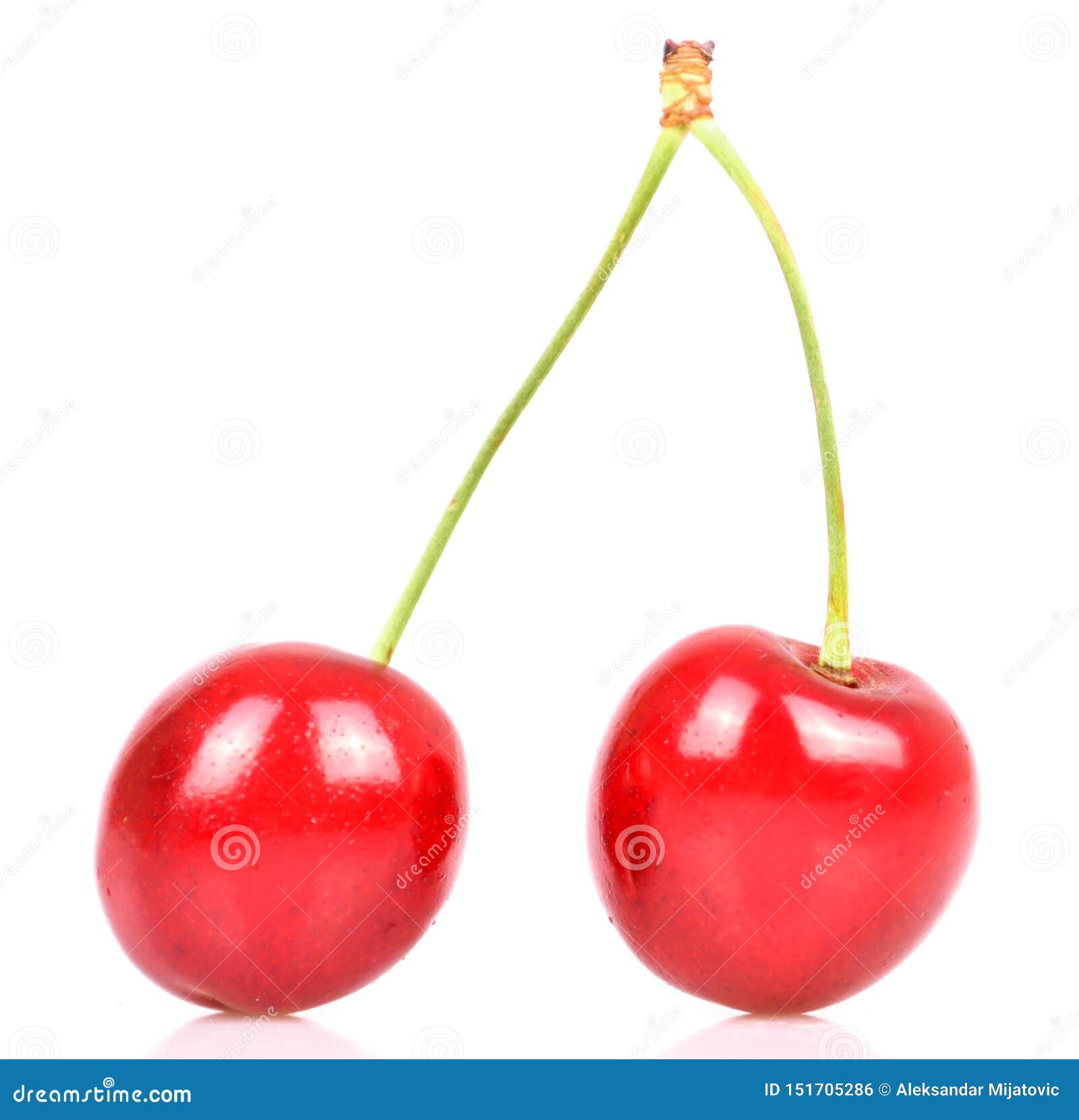 Cherry Pair Isolated on White Macro Shot Stock Photo - Image of fruit ...