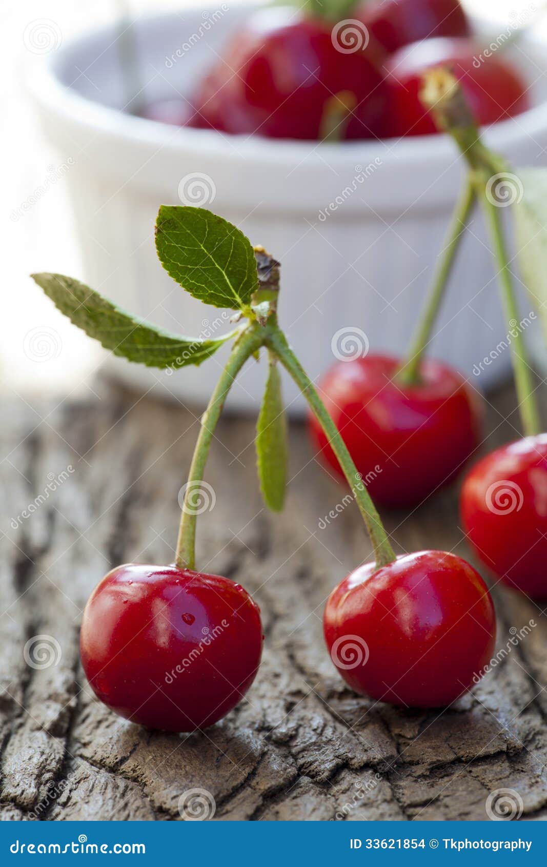 A Cherry pair stock photo. Image of macro, cherry, green - 33621854