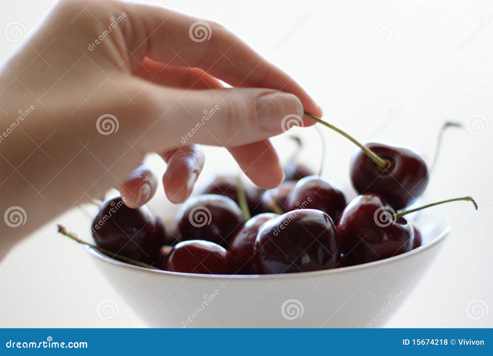 Cherry Picking stock photo. Image of palm, summer, stem - 15674218