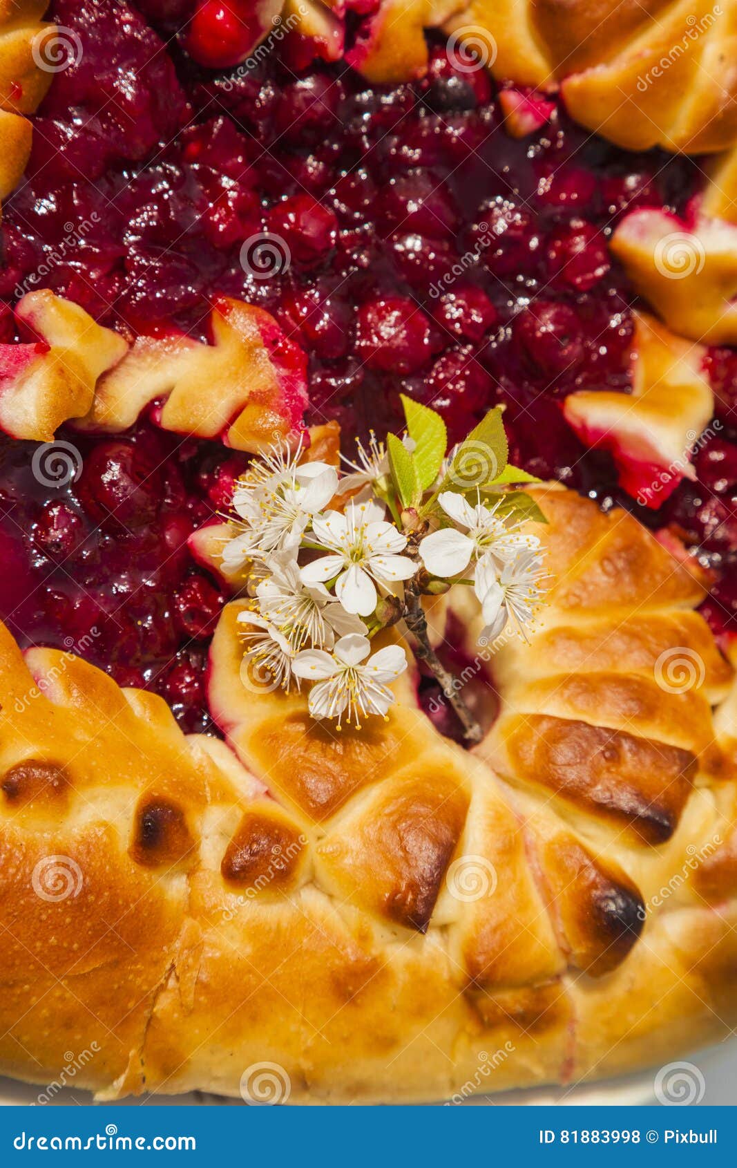 Cherry pie stock photo. Image of bakery, fragment, cherry - 81883998