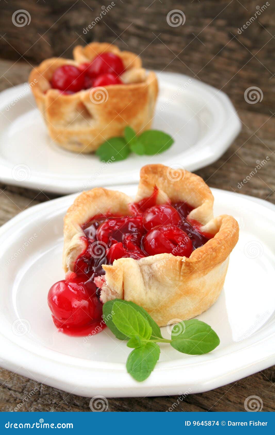 Cherry Pies stock photo. Image of small, dough, brown - 9645874