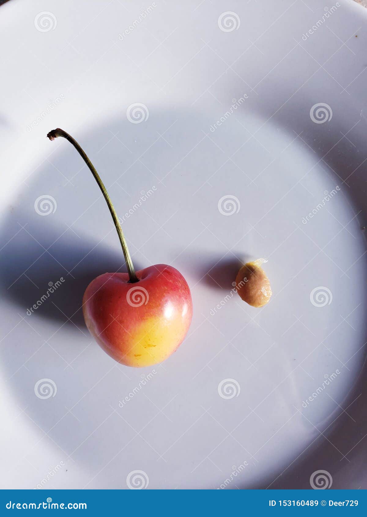 A cherry and pit stock image. Image of single, cherry - 153160489