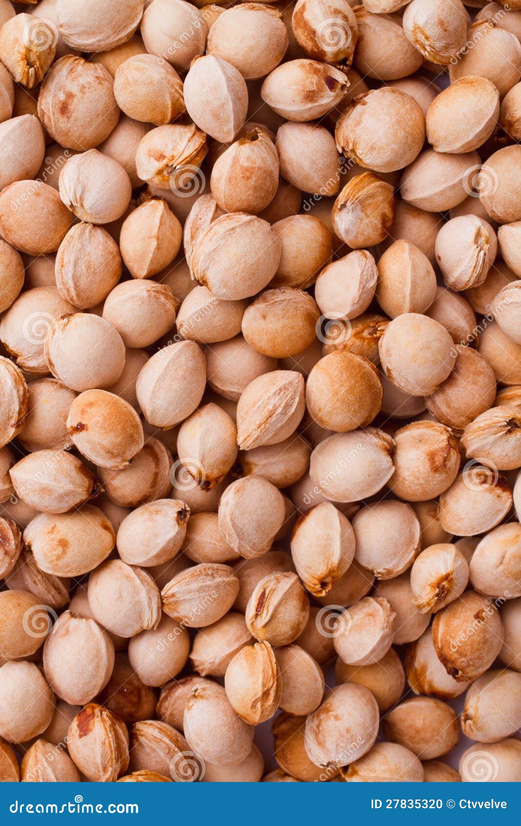 Cherry pits stock photo. Image of lots, fruit, abstract - 27835320