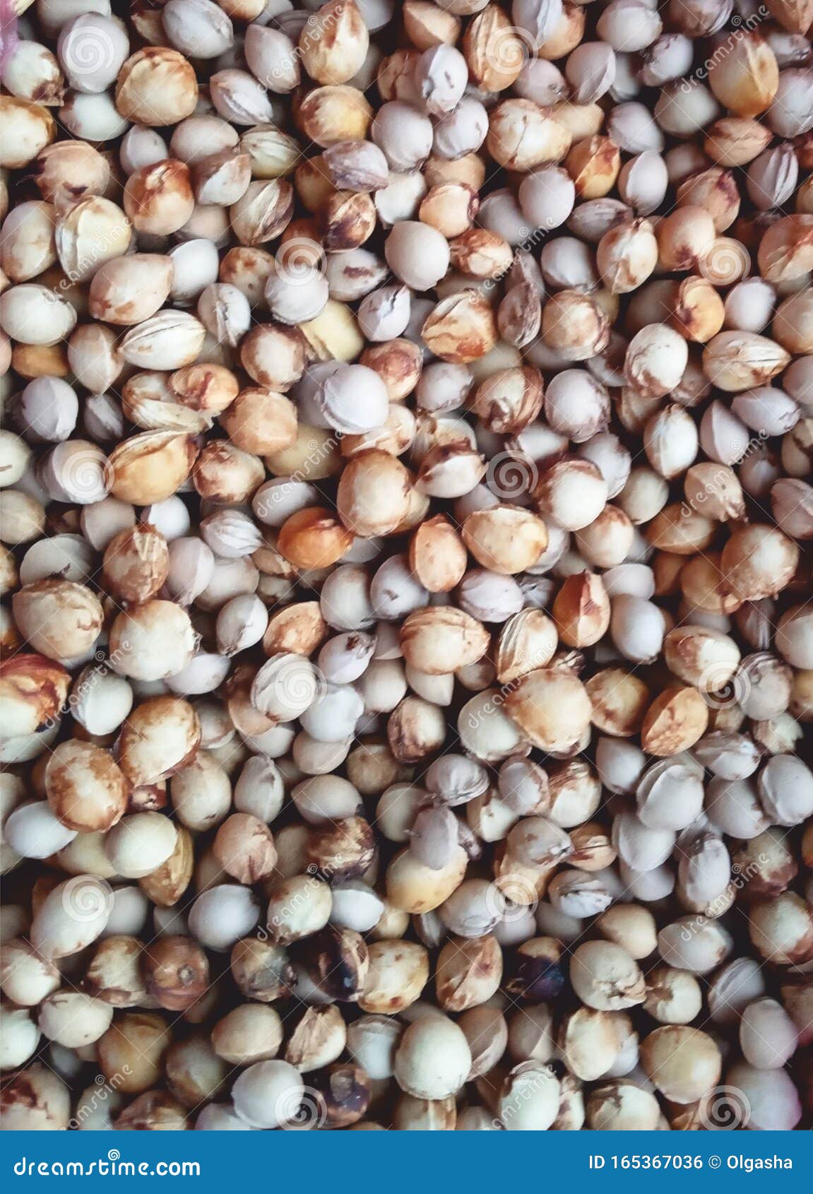 Cherry pits stock photo. Image of cherry, garden, ecology - 165367036