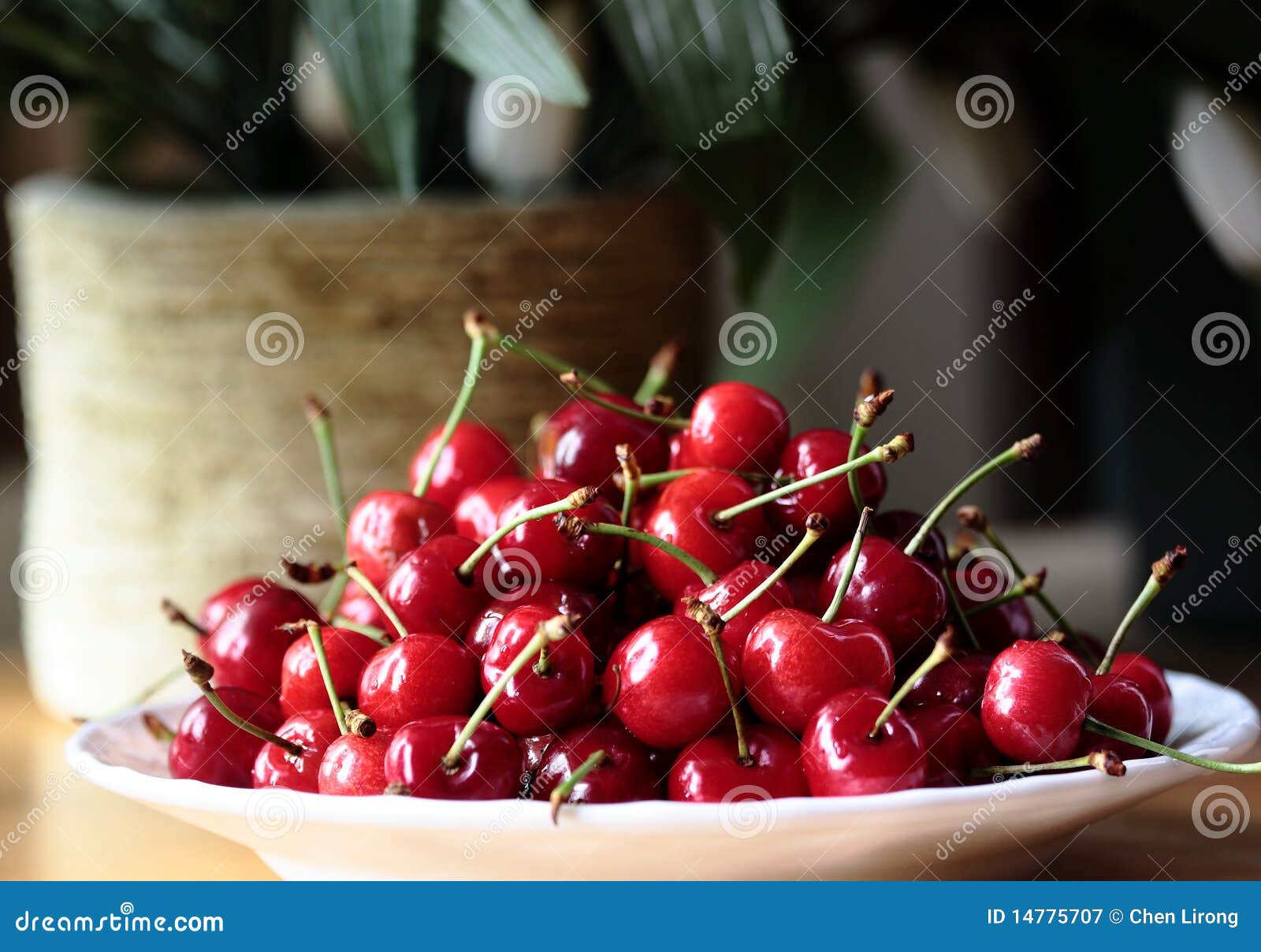 Cherry in plate stock image. Image of side, isolated - 14775707