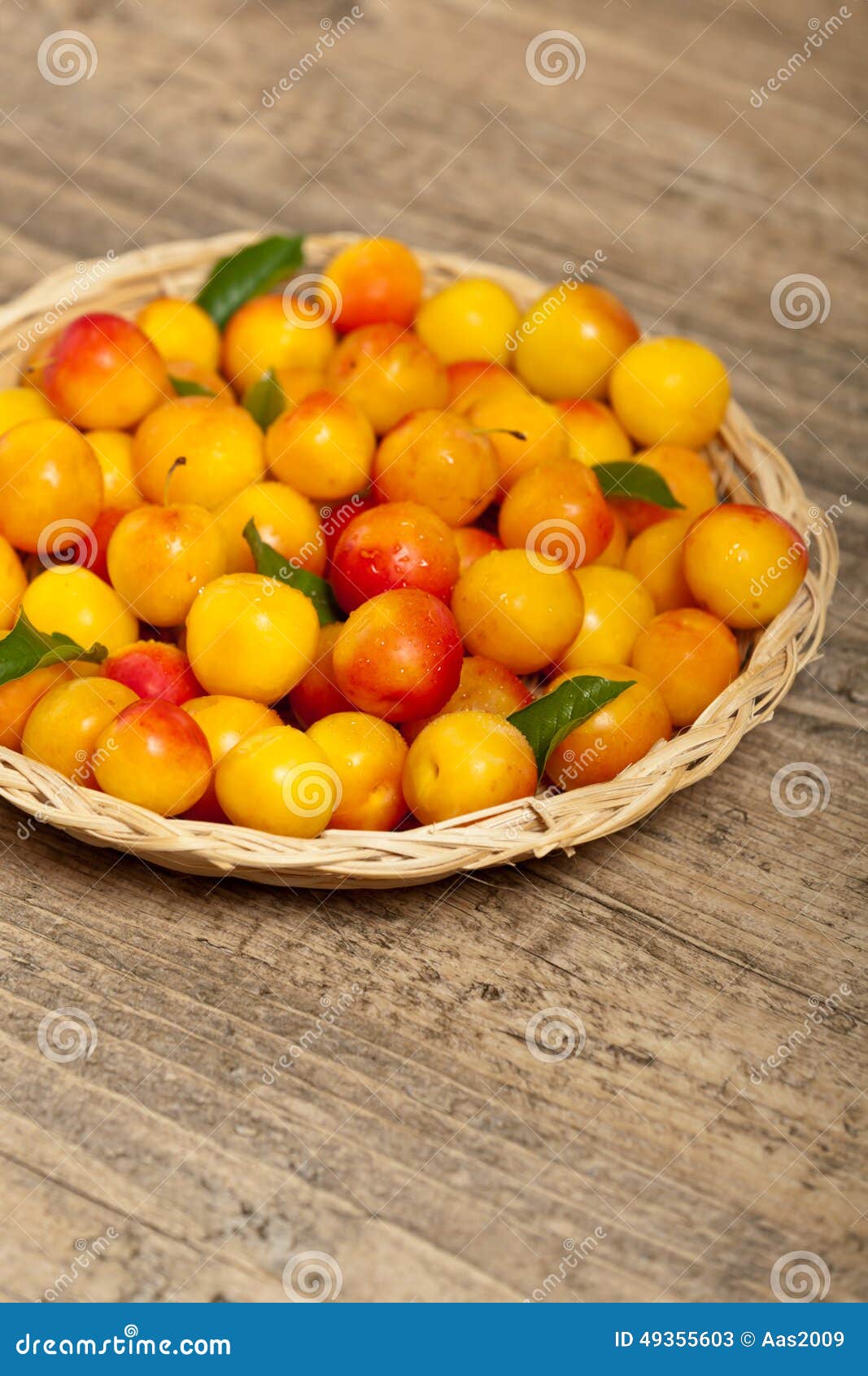 Cherry-plum stock image. Image of purple, macro, health - 49355603