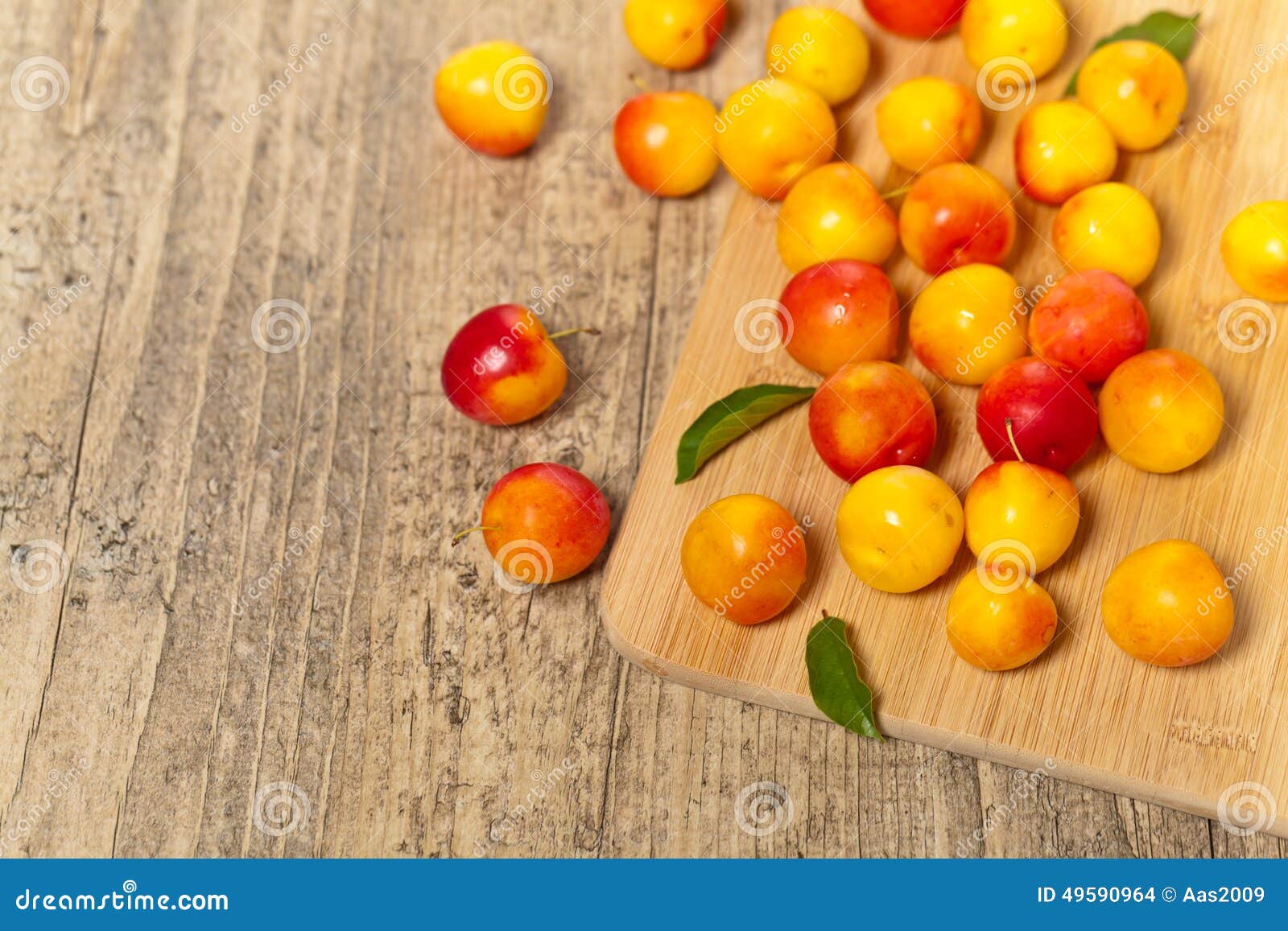 Cherry-plum stock photo. Image of ripe, delicious, fruit - 49590964