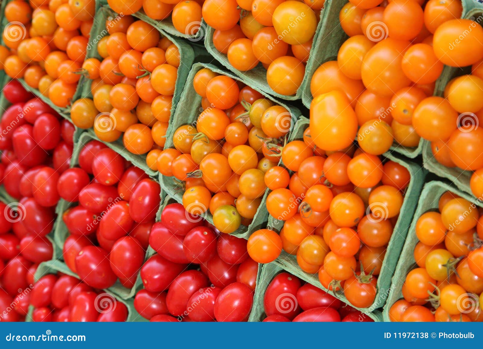 Cherry and Plum Tomatoes at Market Stock Illustration - Illustration of ...