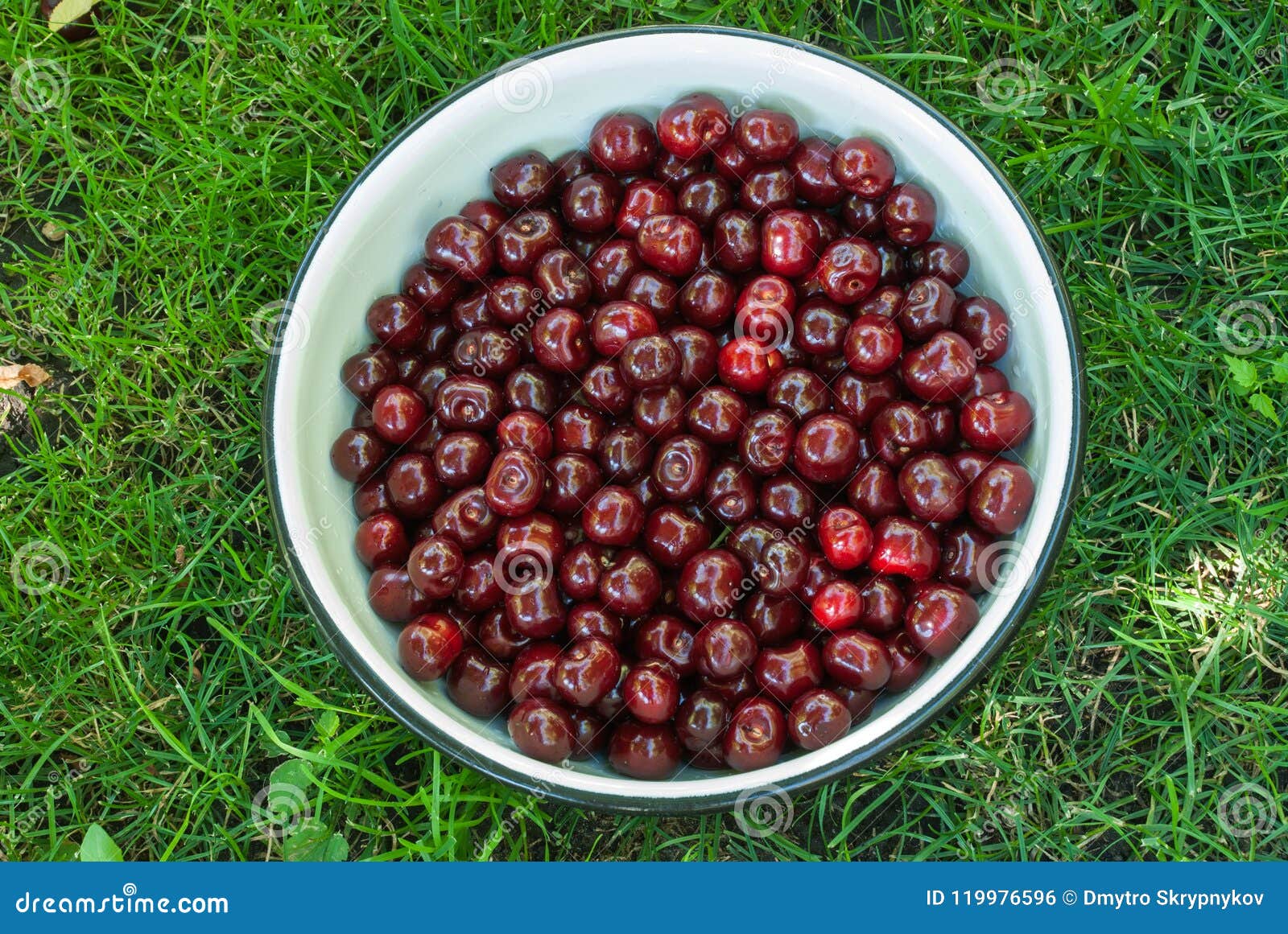 Cherry. Red Fresh Bunch of Cherries Stock Photo - Image of dessert ...