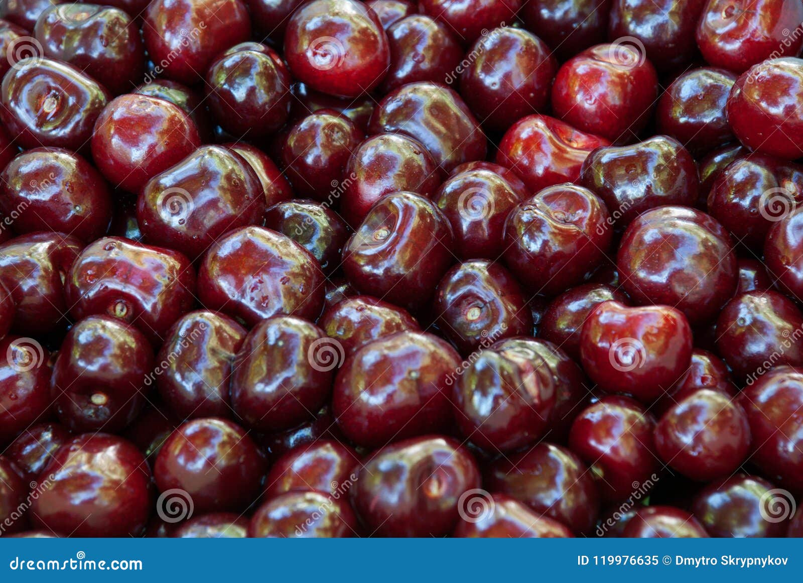 Cherry. Red Fresh Bunch of Cherries Stock Image - Image of leaf, nature ...