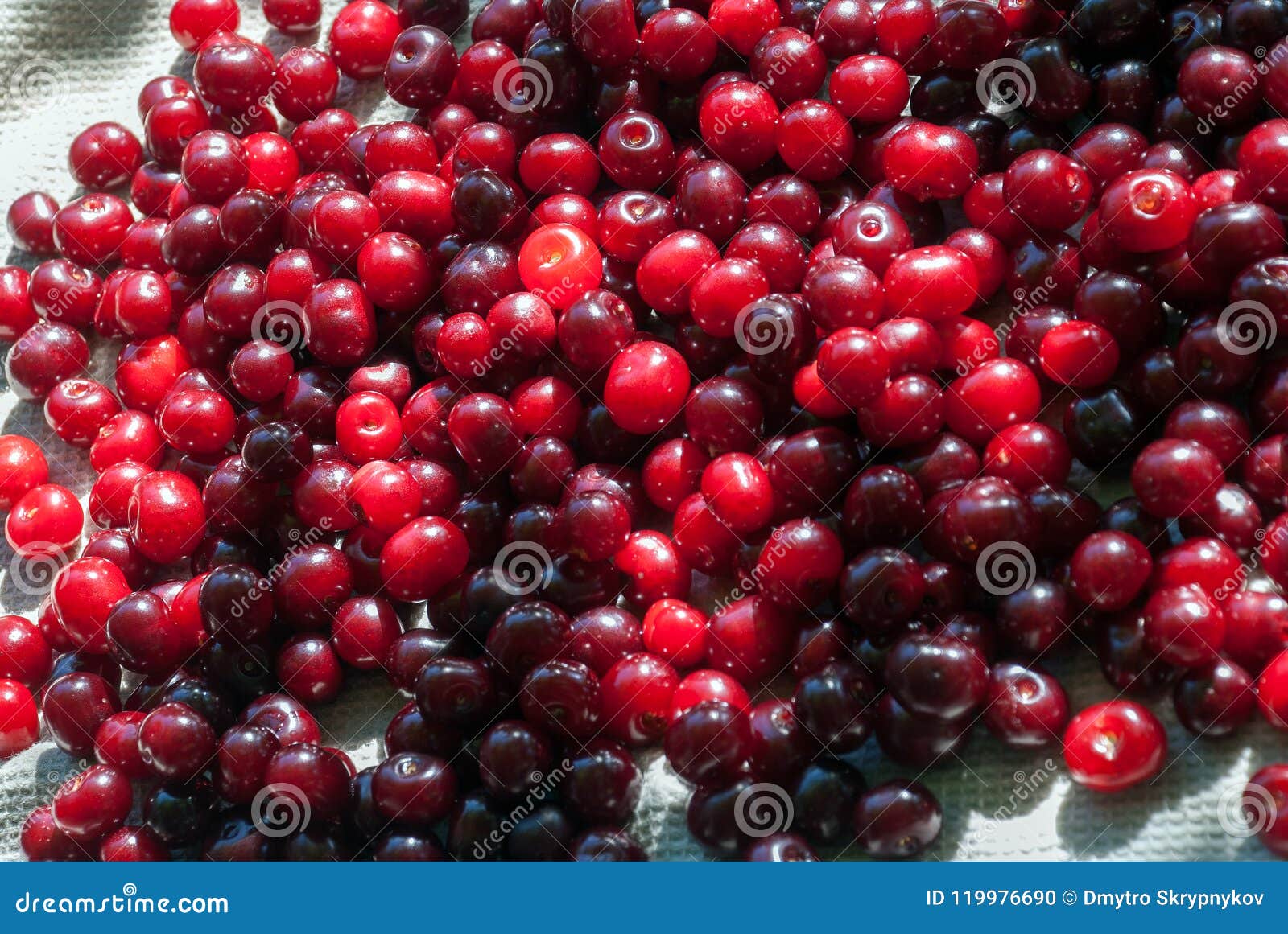 Cherry. Red Fresh Bunch of Cherries Stock Photo - Image of fresh, group ...