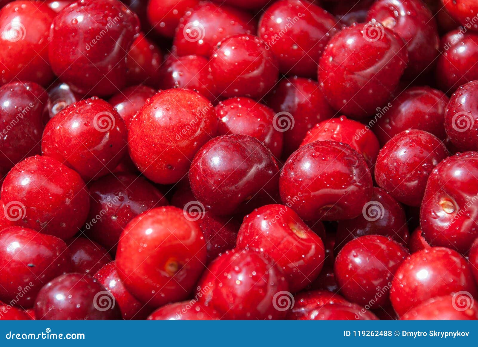 Cherry. Red Fresh Bunch of Cherries Stock Photo - Image of basket ...