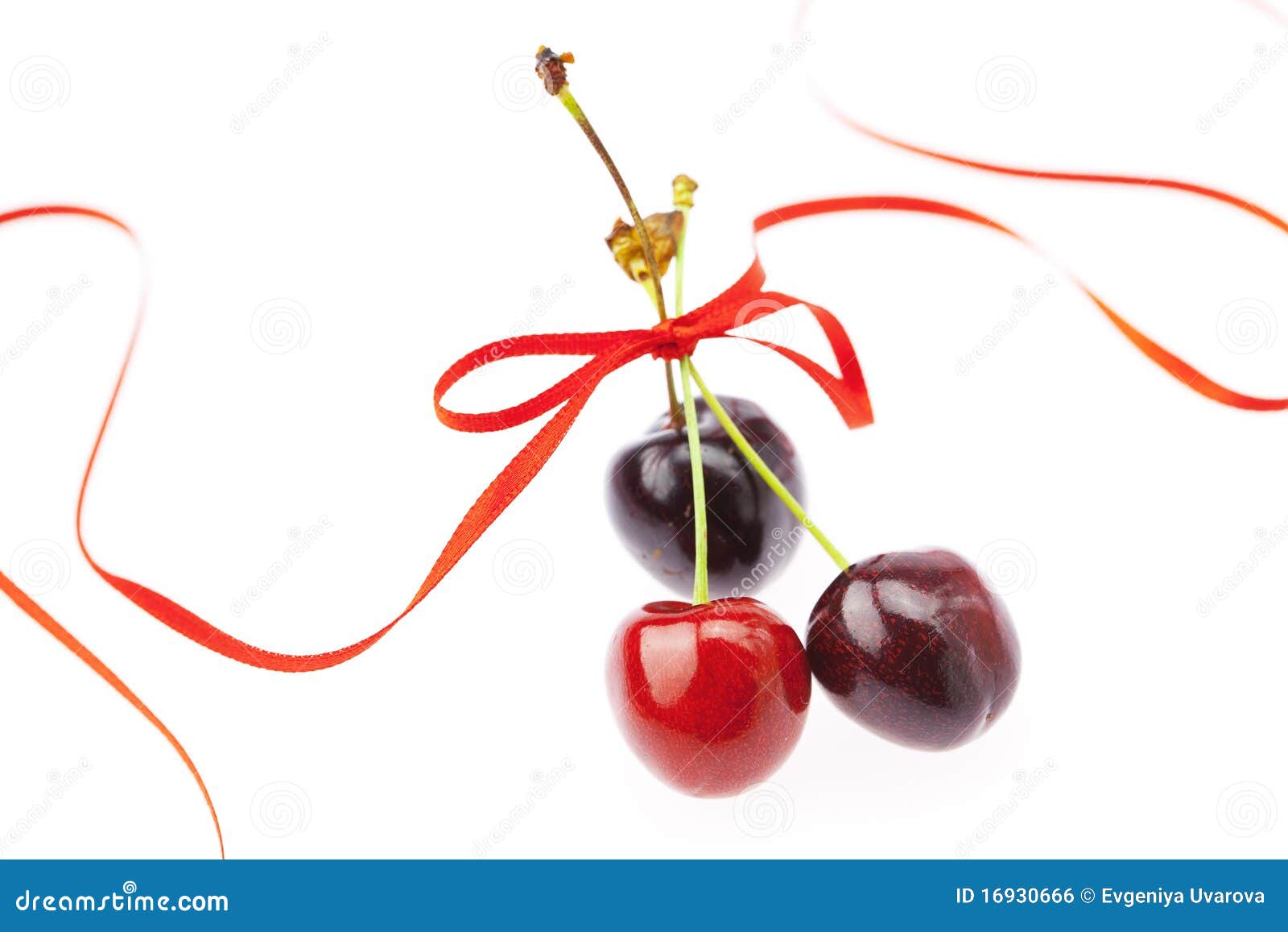 Cherry with Ribbon Isolated on White Stock Photo - Image of eating ...