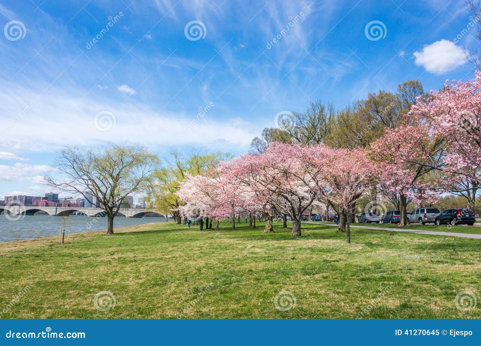 Cherry Row stock image. Image of clouds, cloudy, festival - 41270645