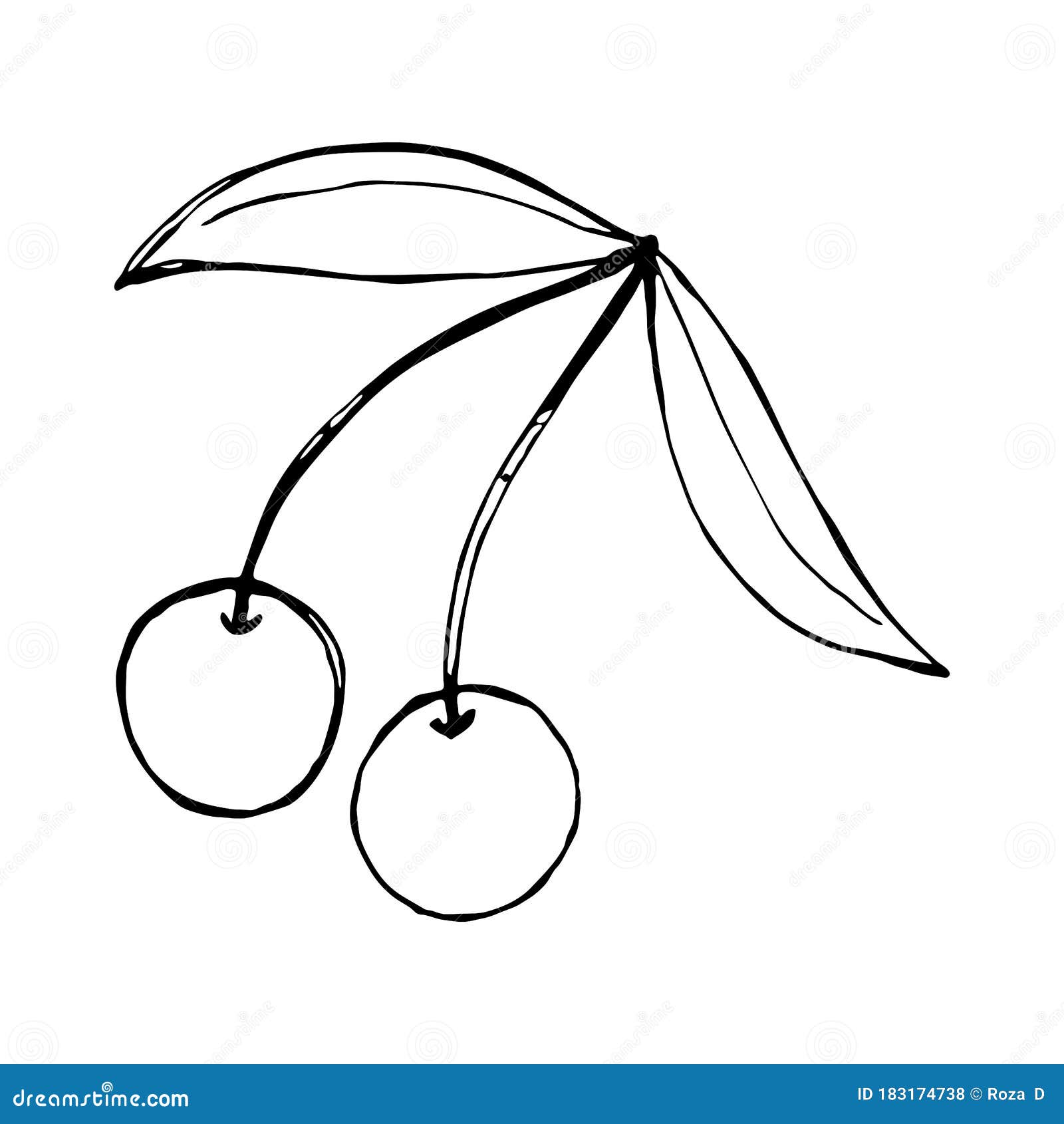 Cherry sketch vector stock vector. Illustration of agriculture - 183174738