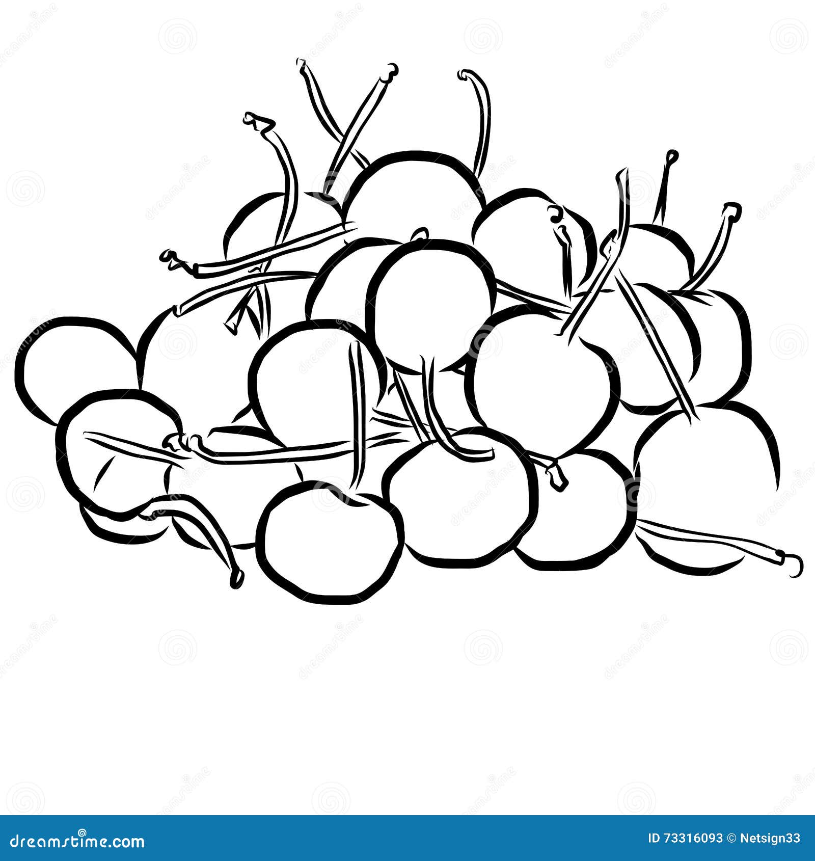 Cherry Sketched Outline Vector Illustration Stock Vector - Illustration ...