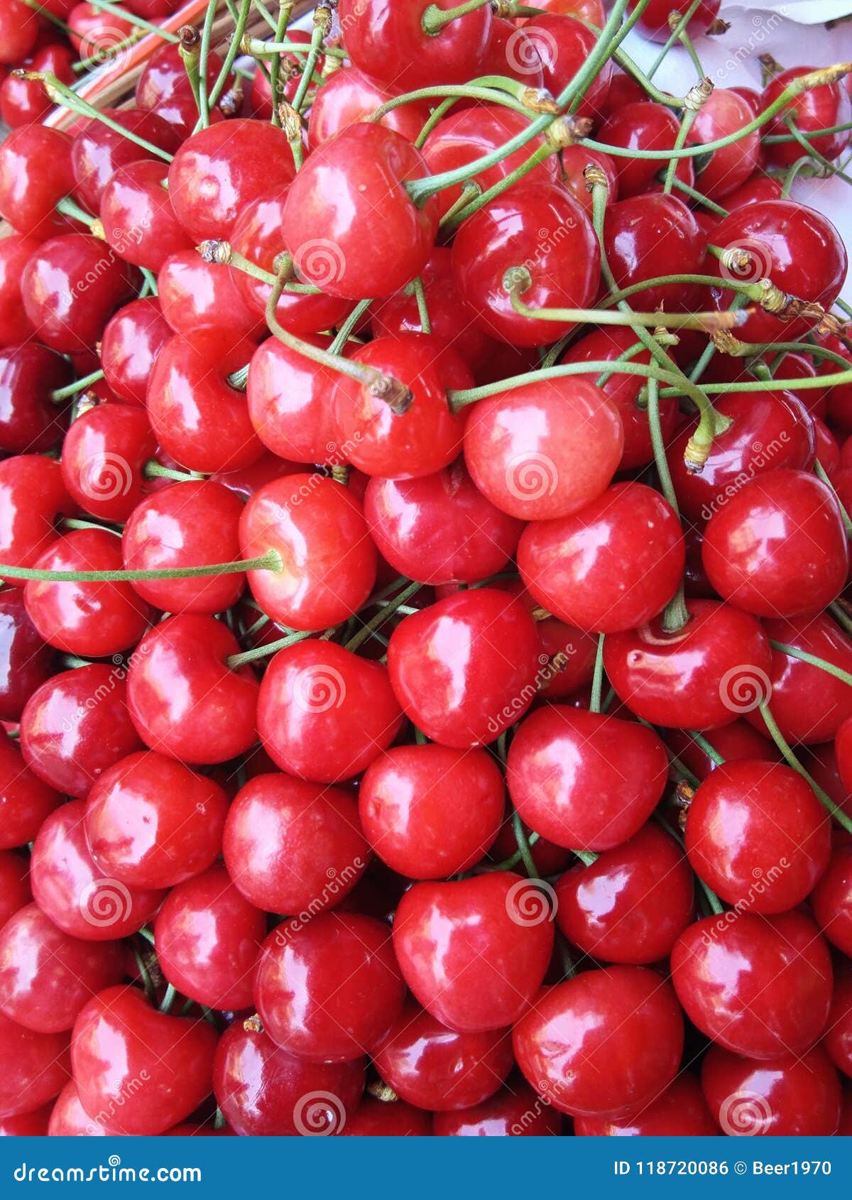 Chinese Cherry stock photo. Image of plant, botany, fruit - 118720086