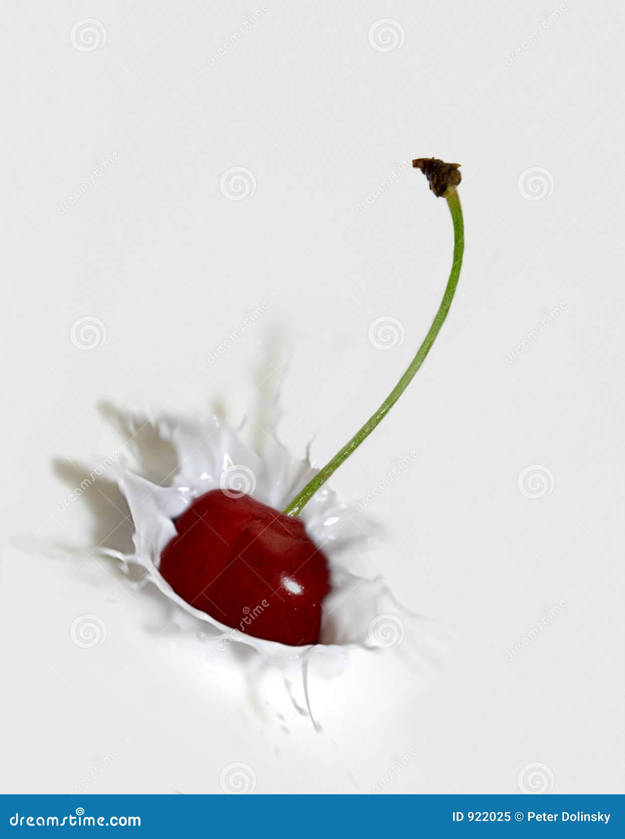 Cherry Splash stock image. Image of alone, splash, isolated - 922025