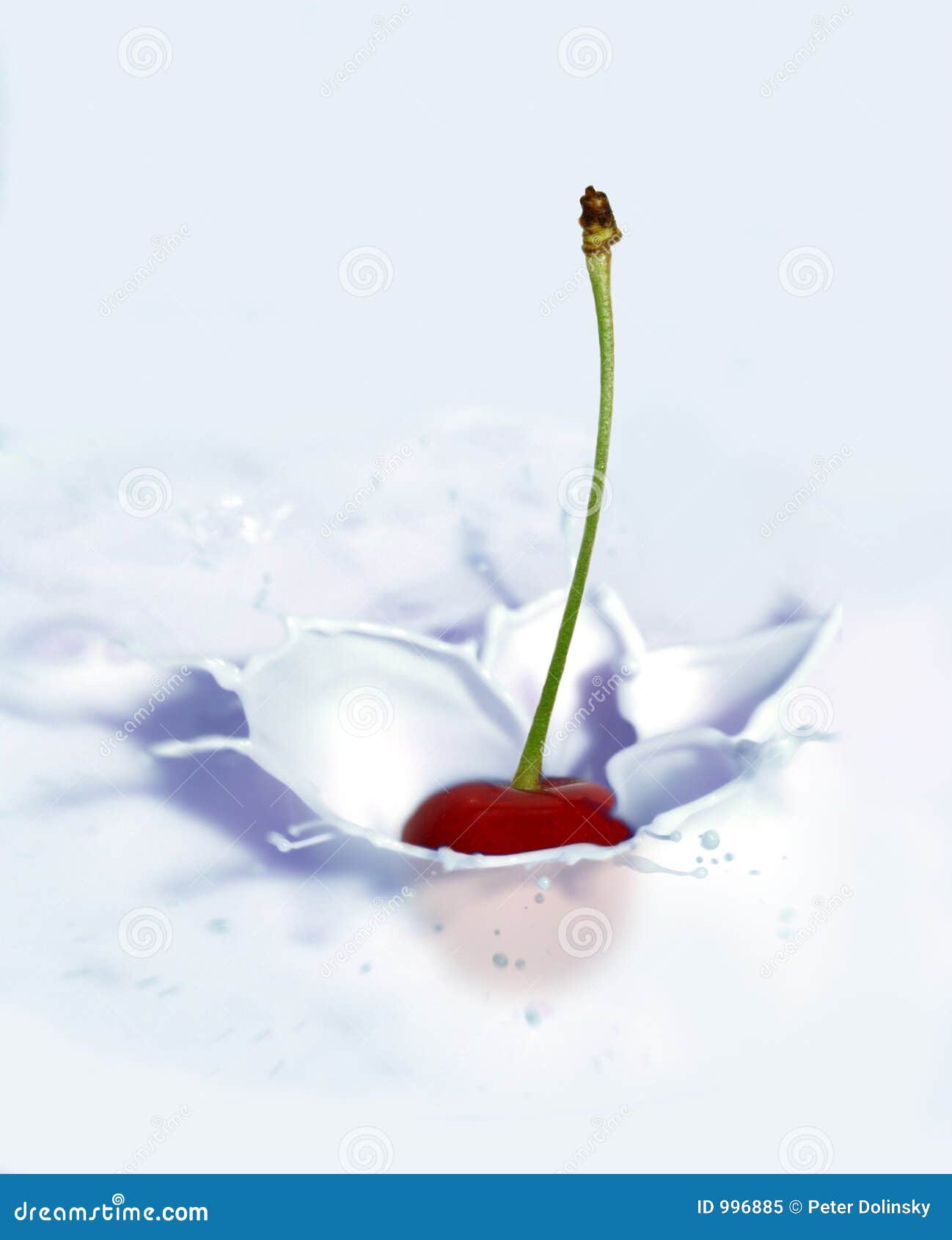 Cherry Splash stock image. Image of dessert, cherry, fruit - 996885