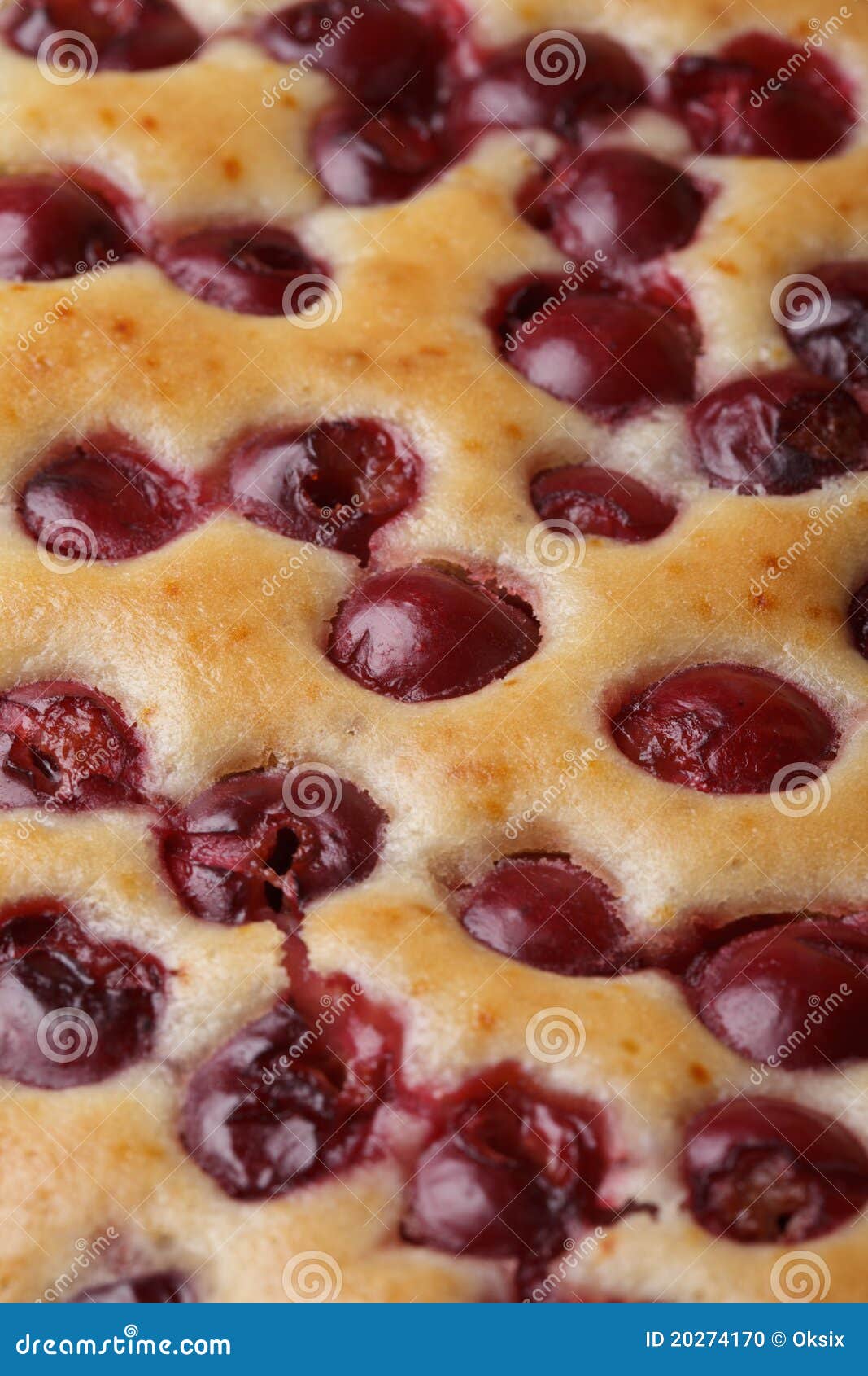 Cherry sponge closeup stock photo. Image of homemade - 20274170
