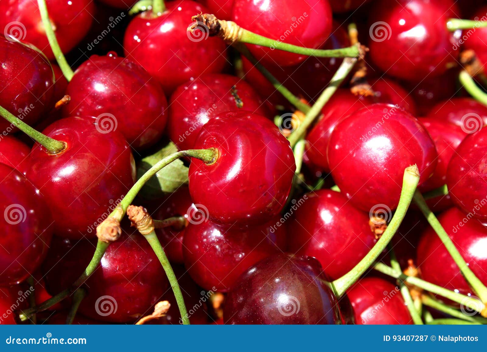 Cherry Sweet Red Fresh Fruit Texture As Background. Stock Image - Image ...