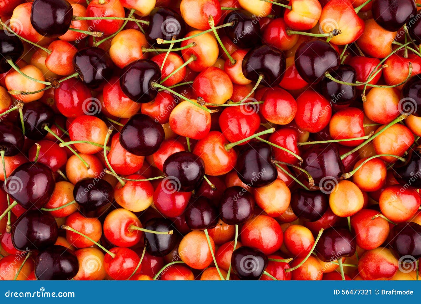 Cherry stock image. Image of pattern, colorful, fruit - 56477321