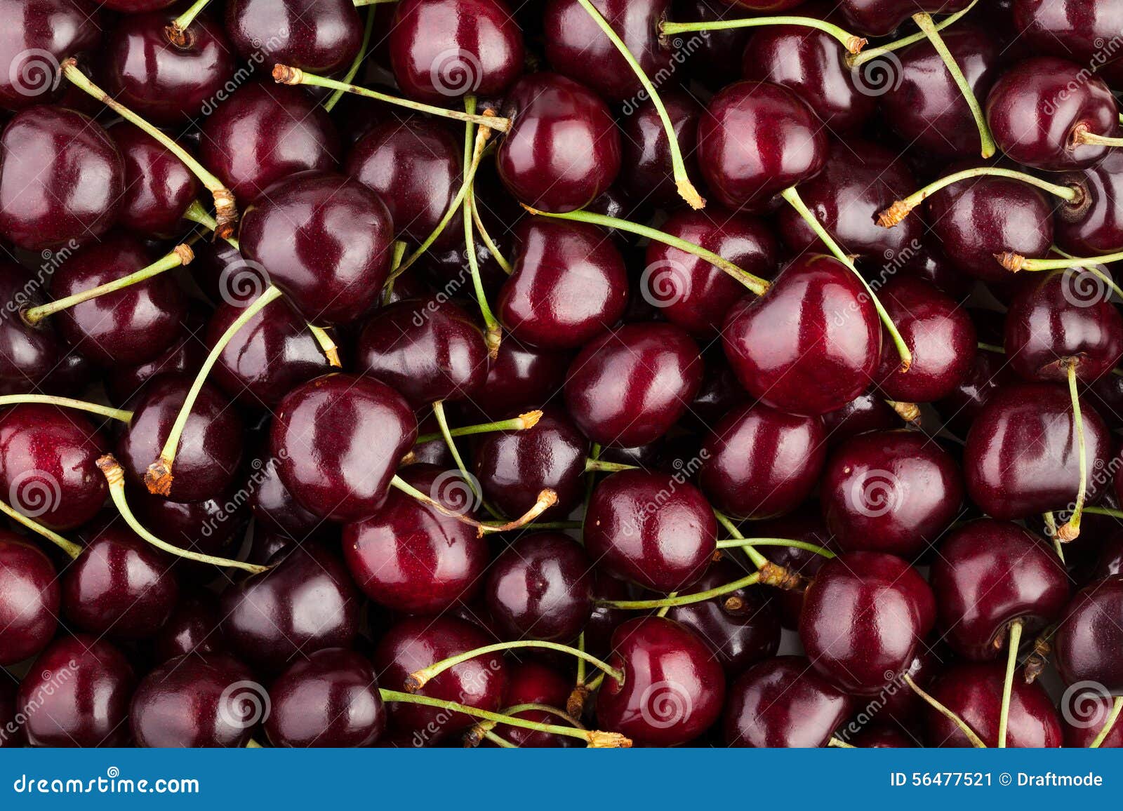Cherry stock image. Image of dessert, shiny, organic - 56477521