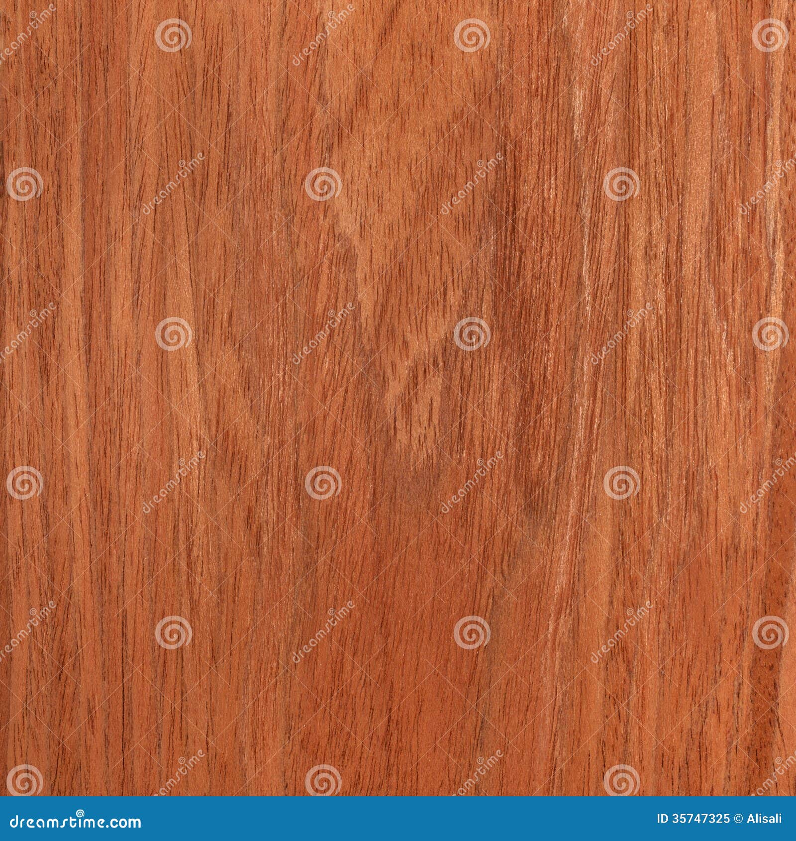 Cherry texture wood stock image. Image of cherry, dark - 35747325