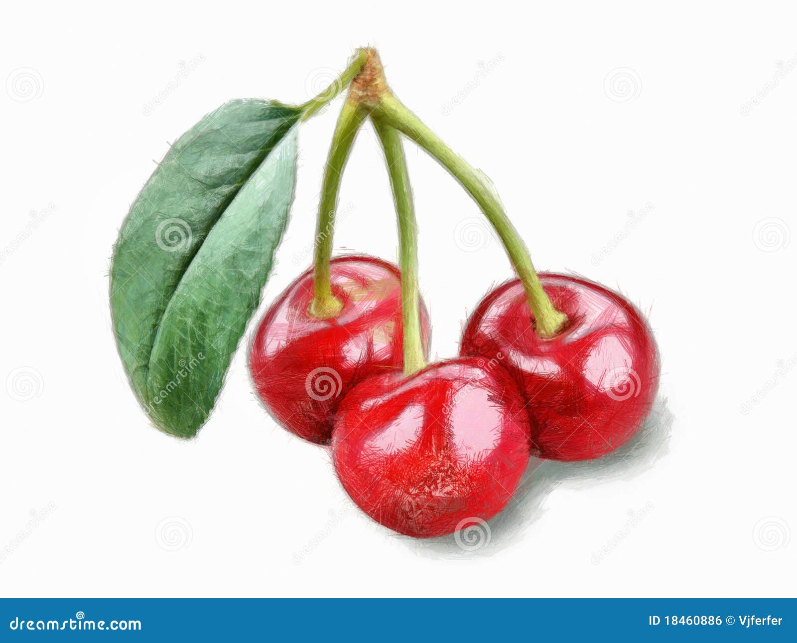 Cherry - three cherries stock photo. Image of painting - 18460886