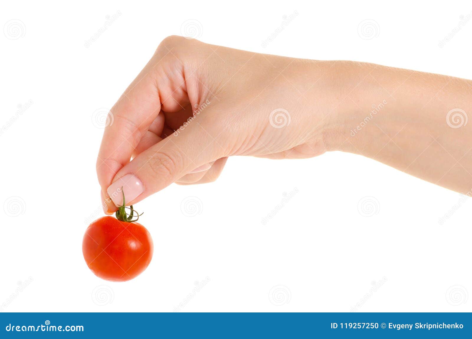 Cherry tomato in hand stock photo. Image of nutrition - 119257250