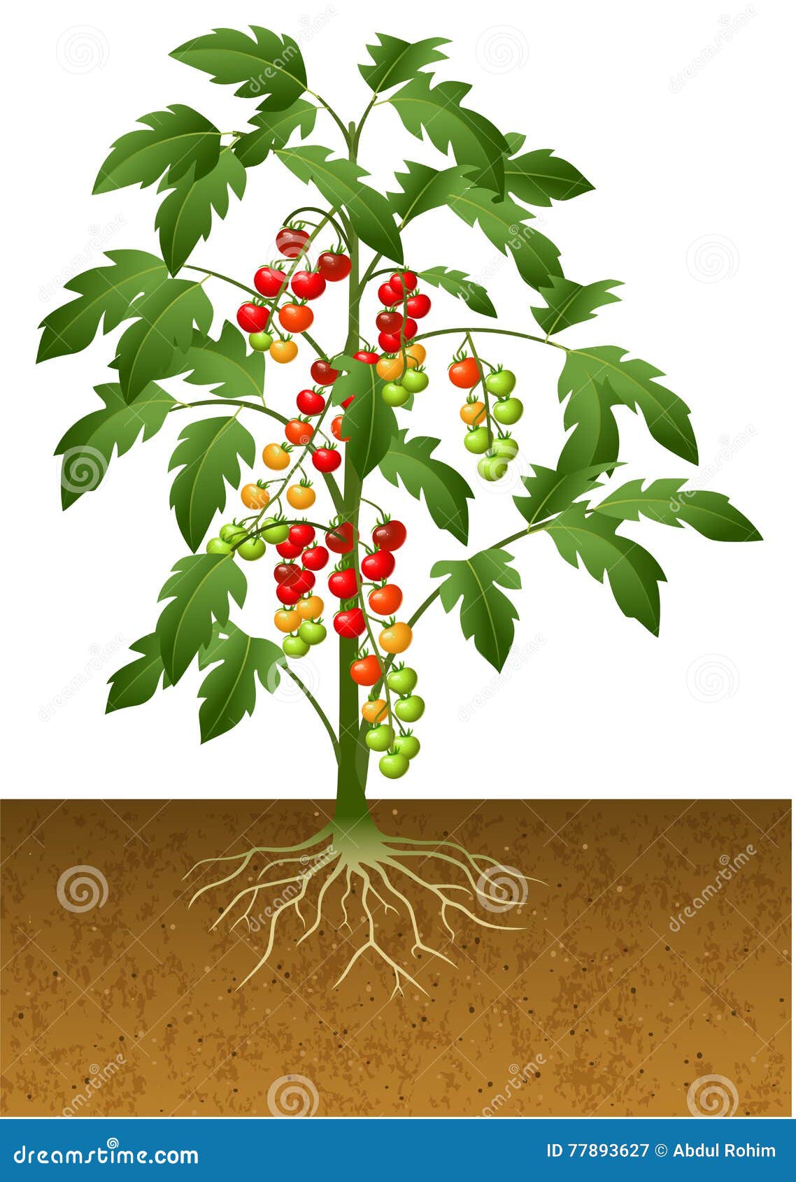 Turfy Cartoons, Illustrations & Vector Stock Images - 10 Pictures to ...