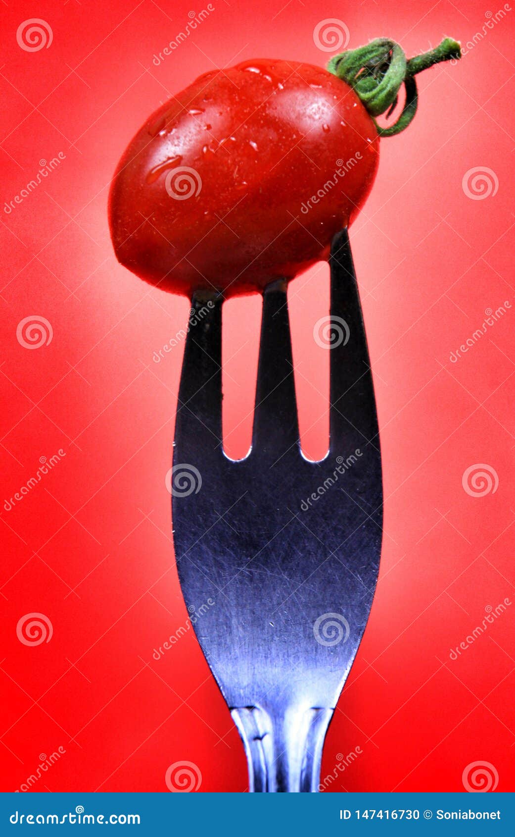 Cherry Tomato Pricked on Fork Stock Photo - Image of close, levitation ...