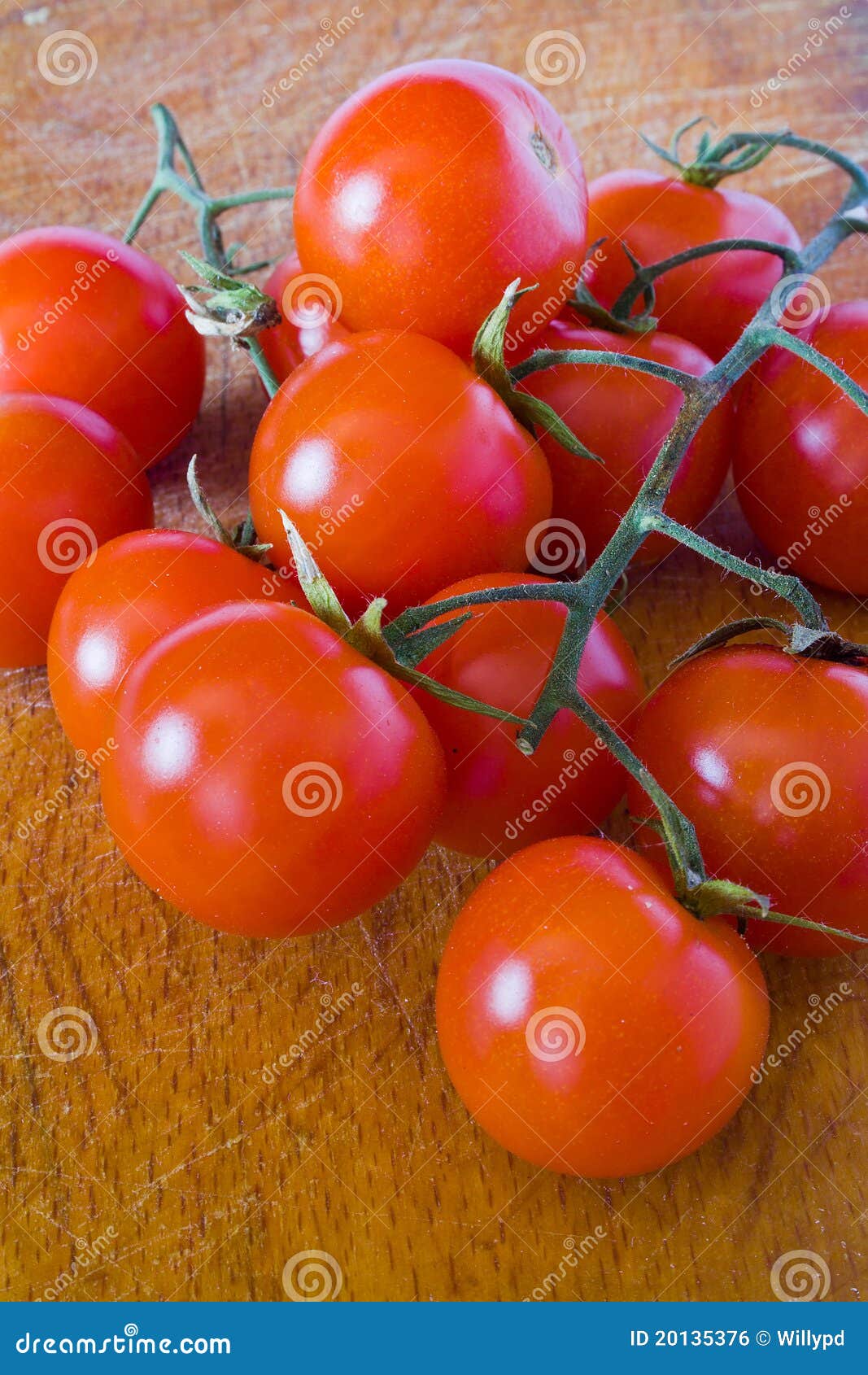 Cherry tomatoes stock photo. Image of fresh, agriculture - 20135376