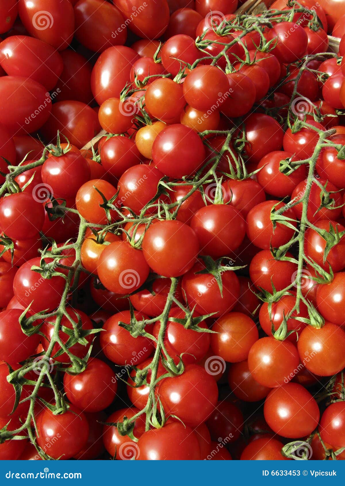 Cherry Tomatoes stock image. Image of vine, tomatoes, fruity - 6633453