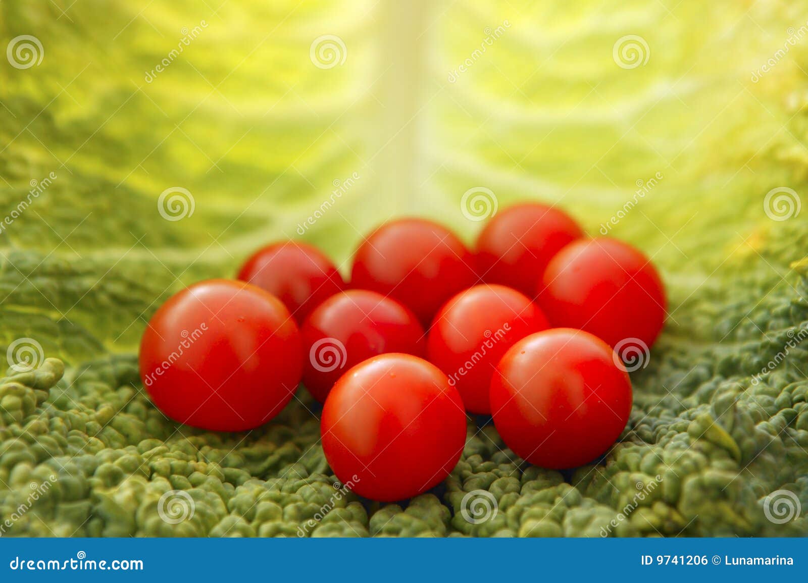 Cherry Tomatoes and Cabbage Leaf Stock Photo - Image of leaf, color ...