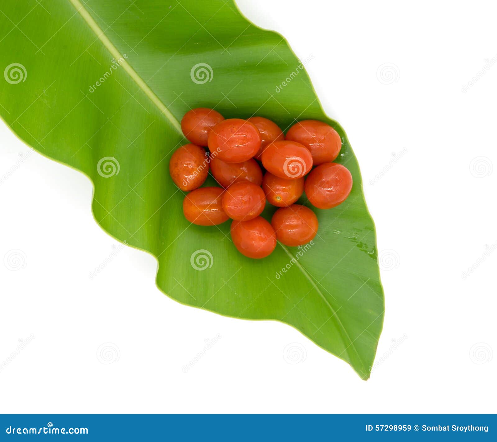 Cherry Tomatoes, Foyer Sur Le Fruit De La Tomate Image stock - Image du ...