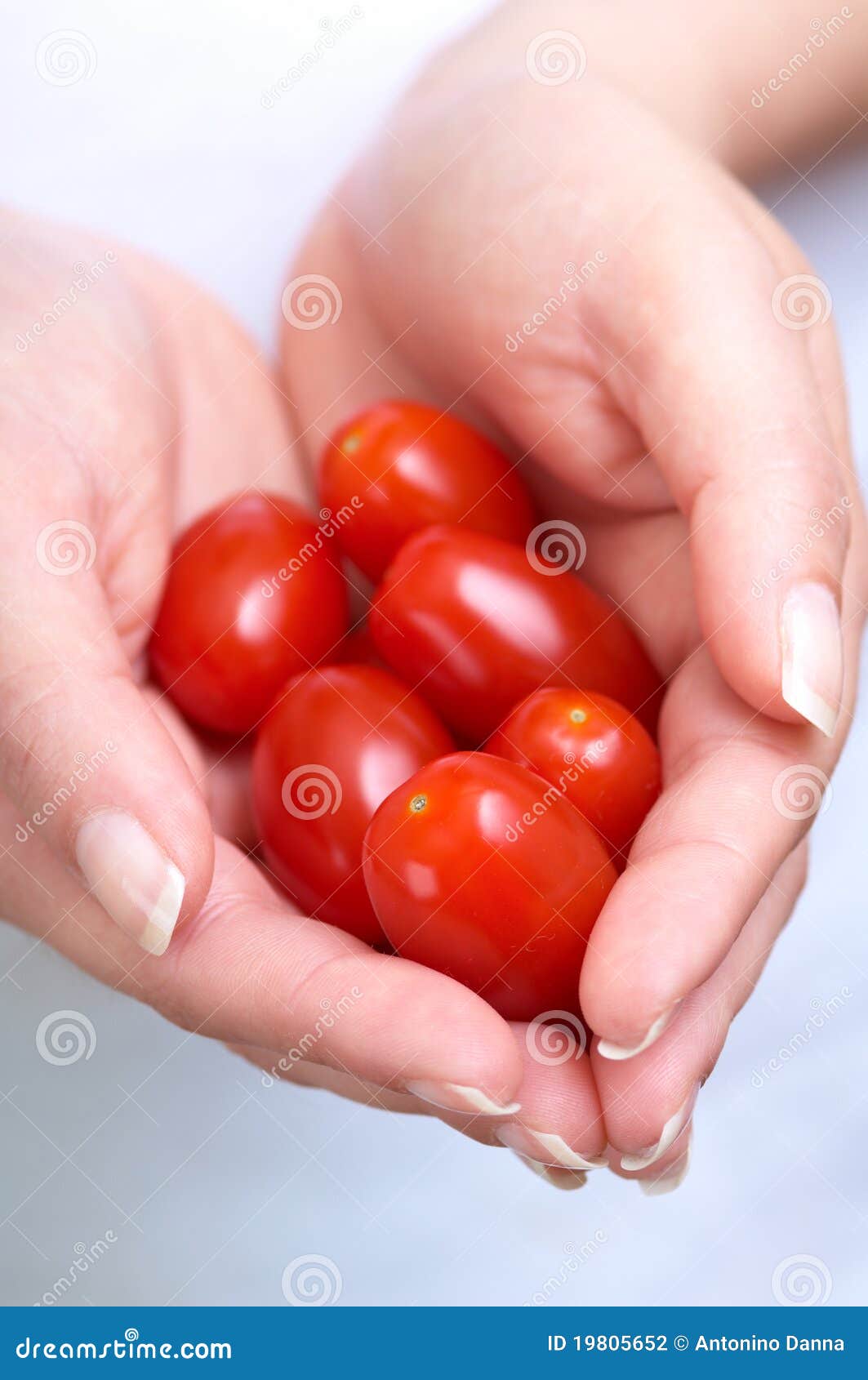 Cherry Tomatoes into the Hands Stock Photo - Image of healthy, hand ...