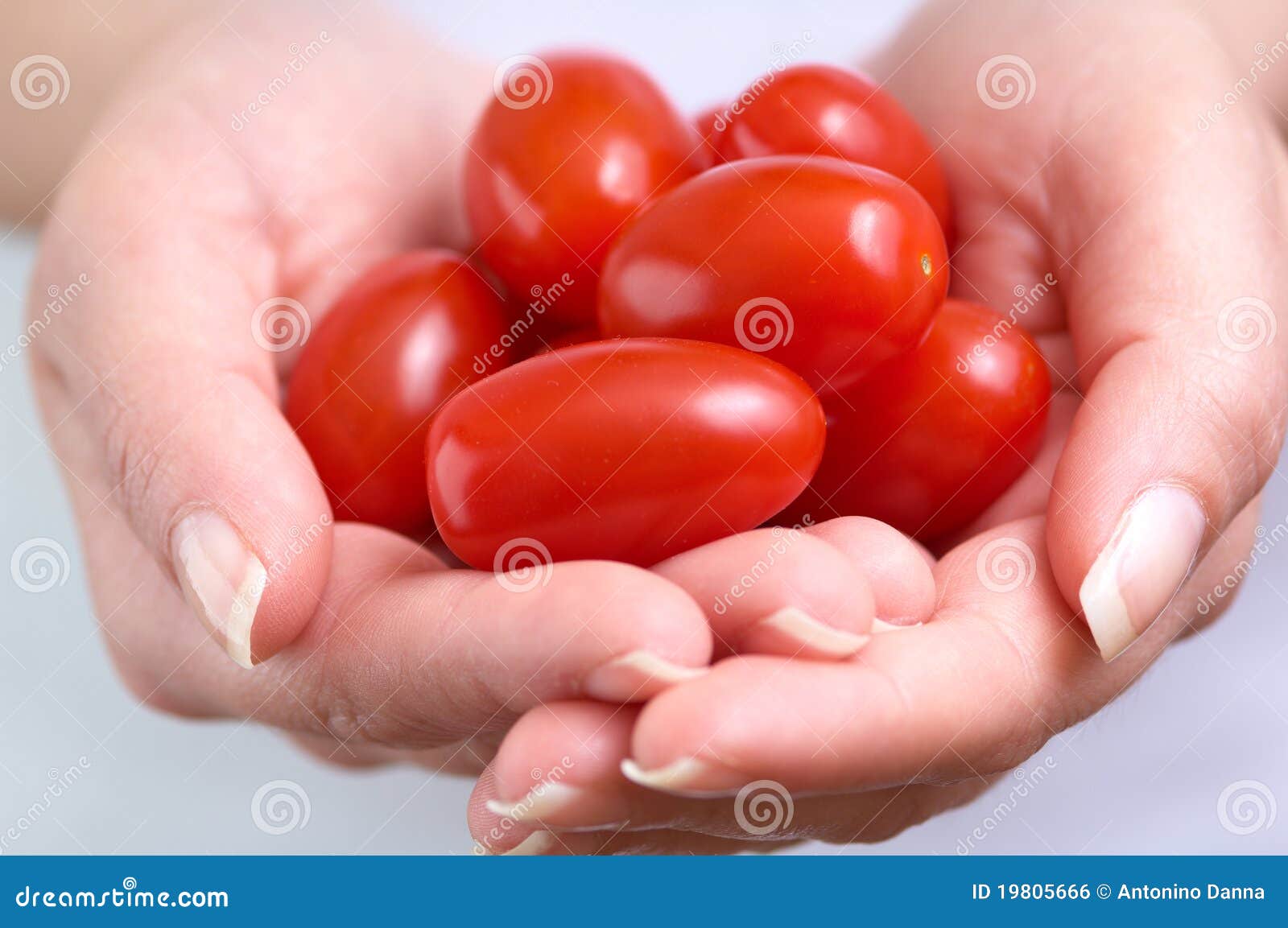 Cherry Tomatoes into the Hands Stock Photo - Image of cherry, food ...