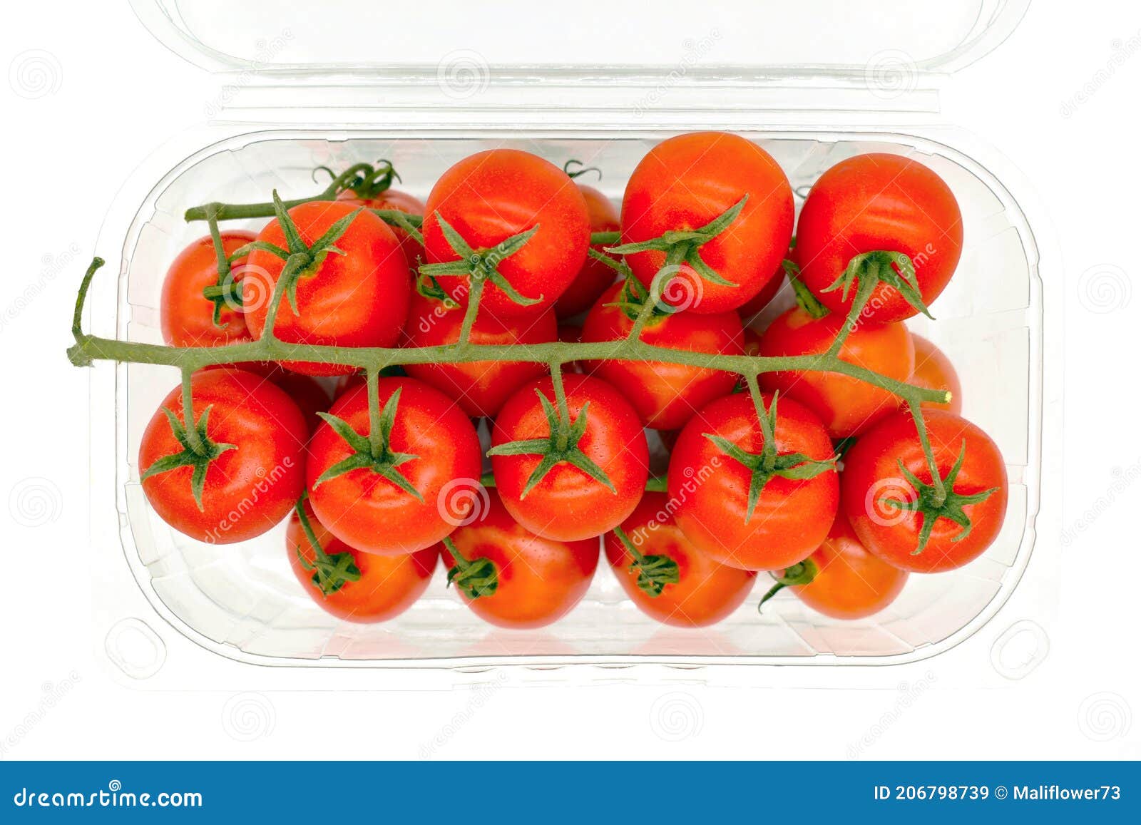 Cherry Tomatoes on a Plastic Box Container. Stock Image - Image of ...