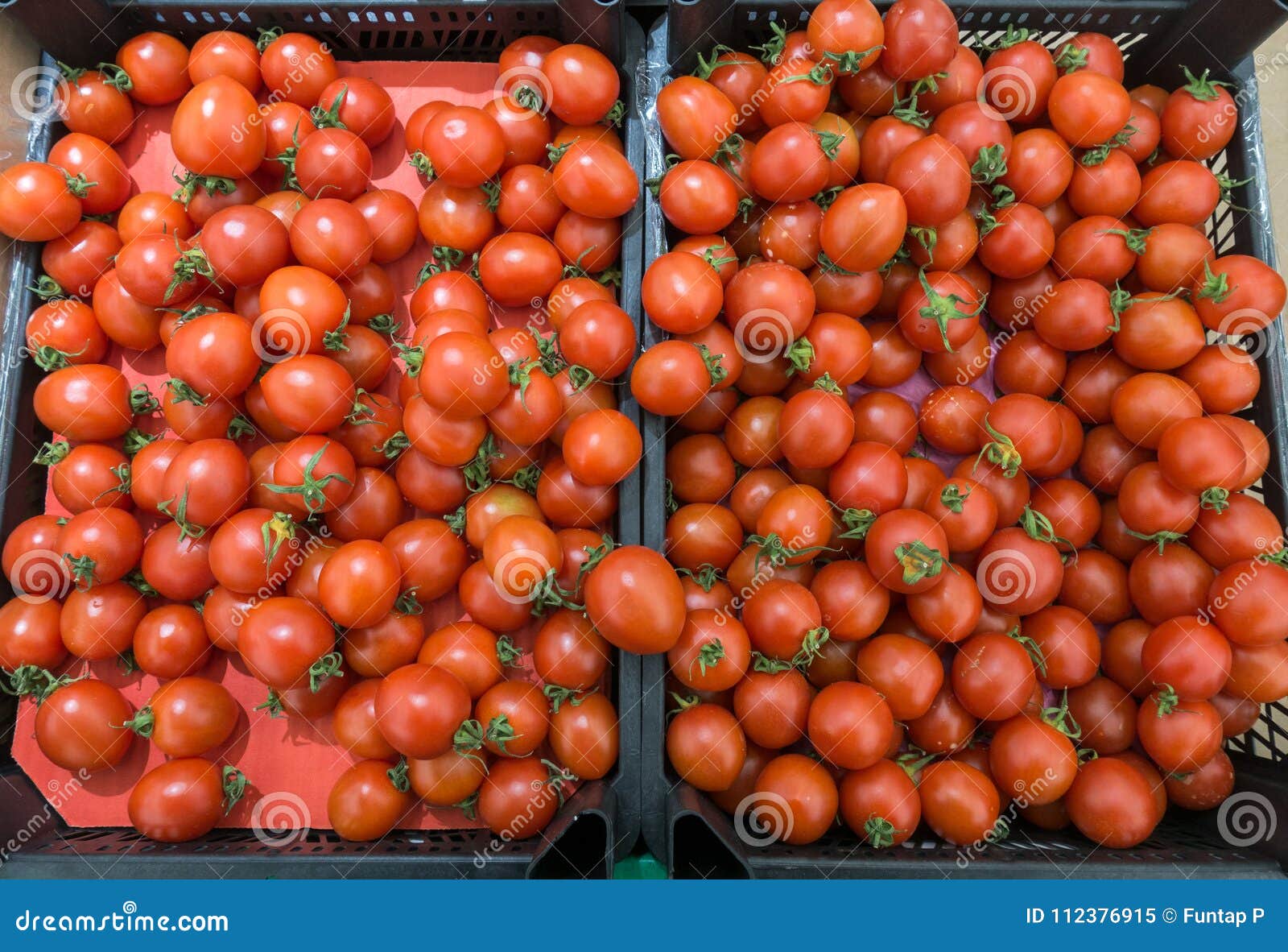Cherry Tomatoes in Plastic. View from Above Stock Image - Image of ...