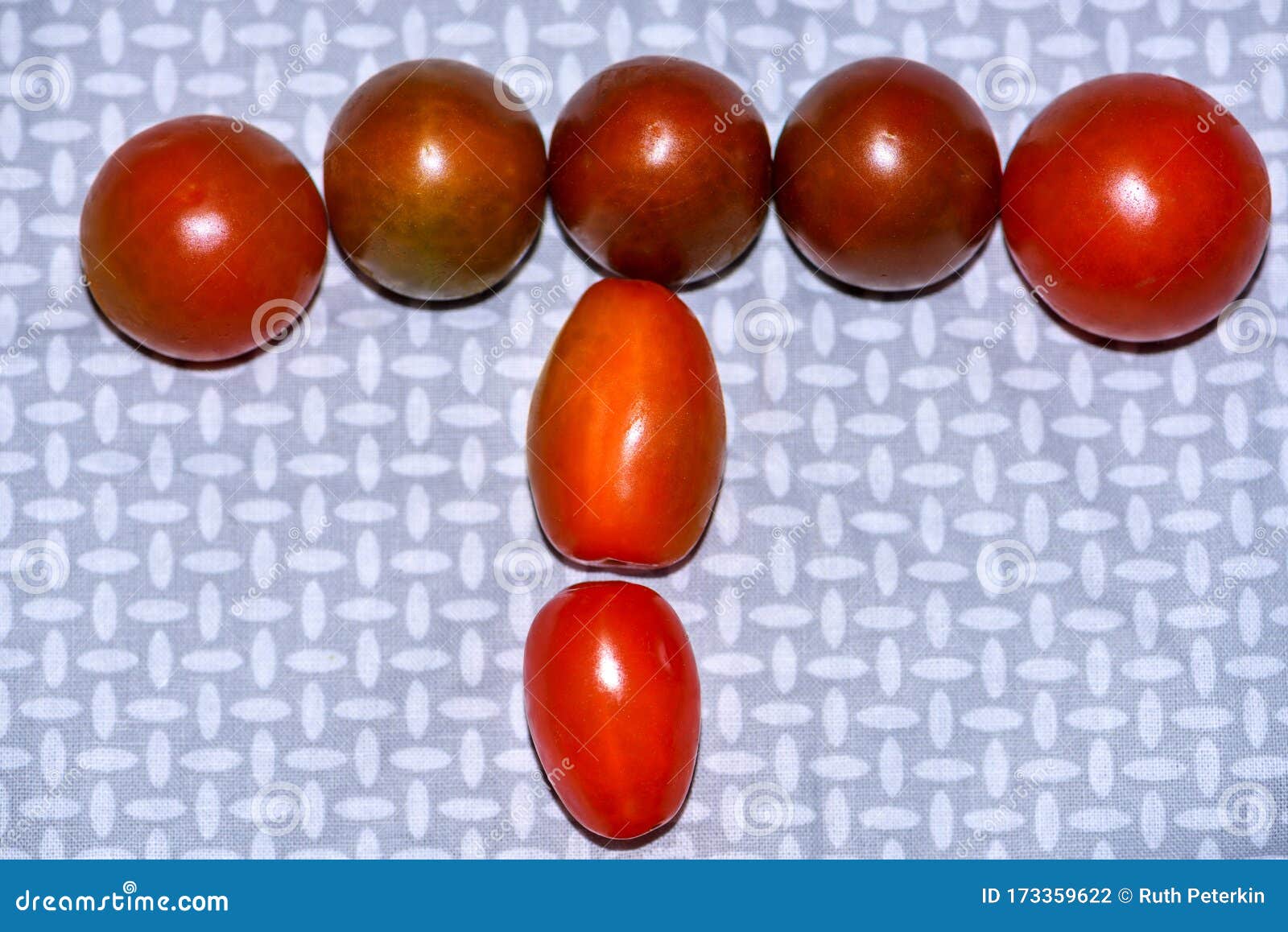 Cherry Tomatoes in the Shape of a T Stock Photo - Image of plant, small ...