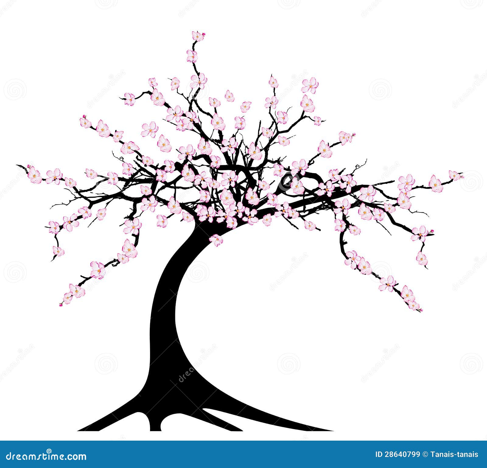 Cherry tree stock vector. Illustration of pattern, chinese - 28640799