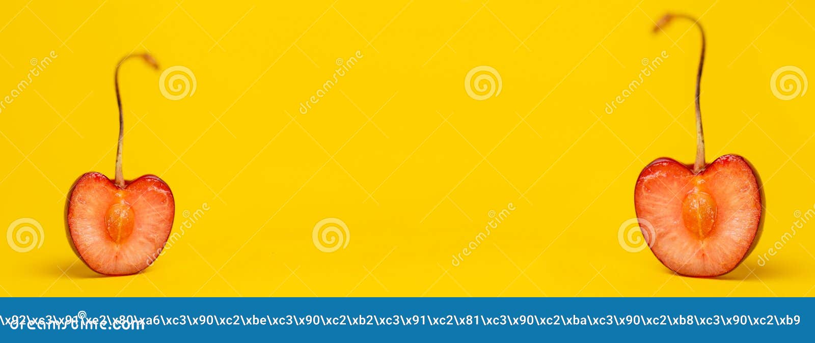 Cherry Tree Banner With A Cross-section Bone On A Yellow Background ...