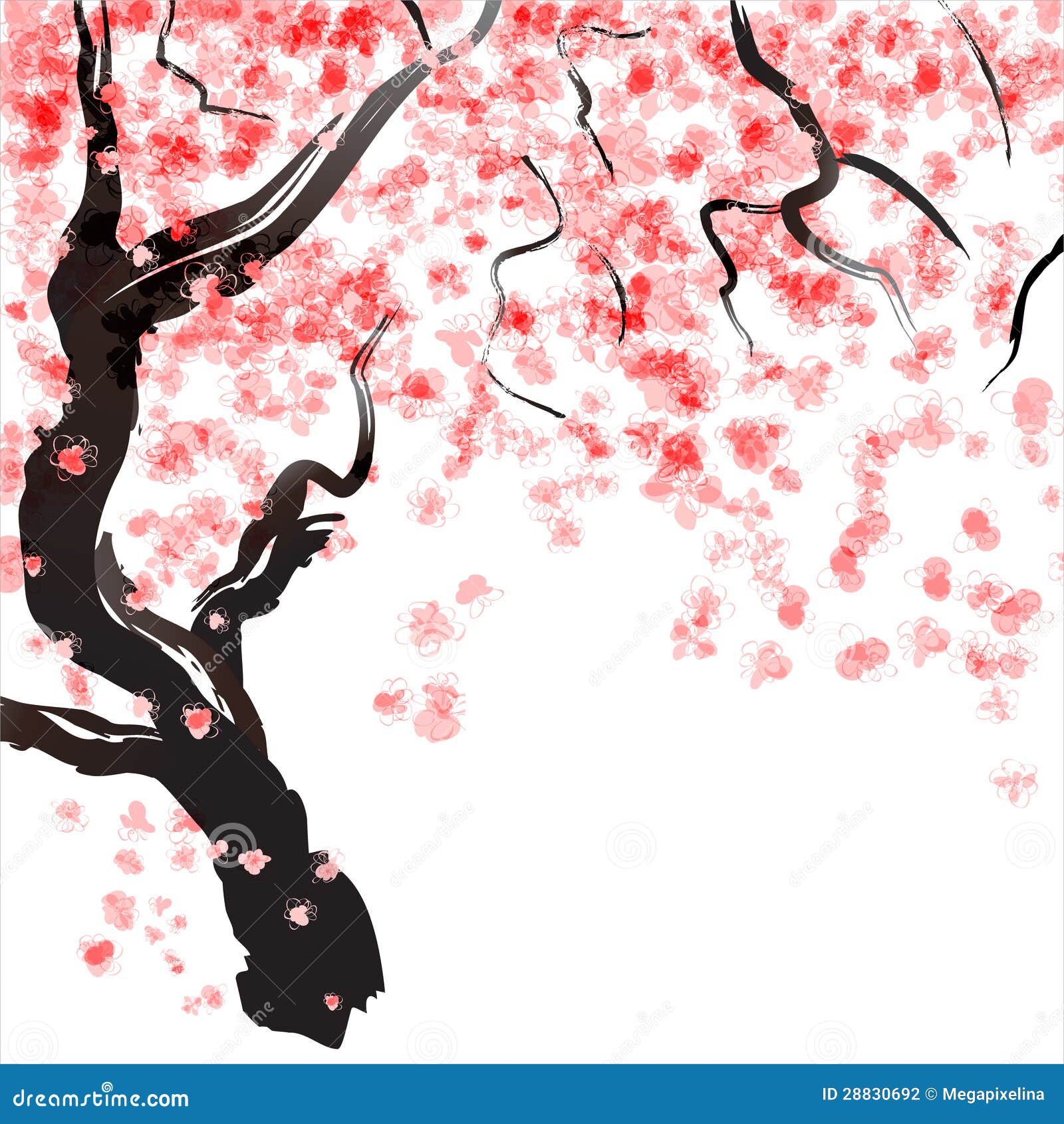 Cherry tree blossom stock vector. Illustration of decoration - 28830692