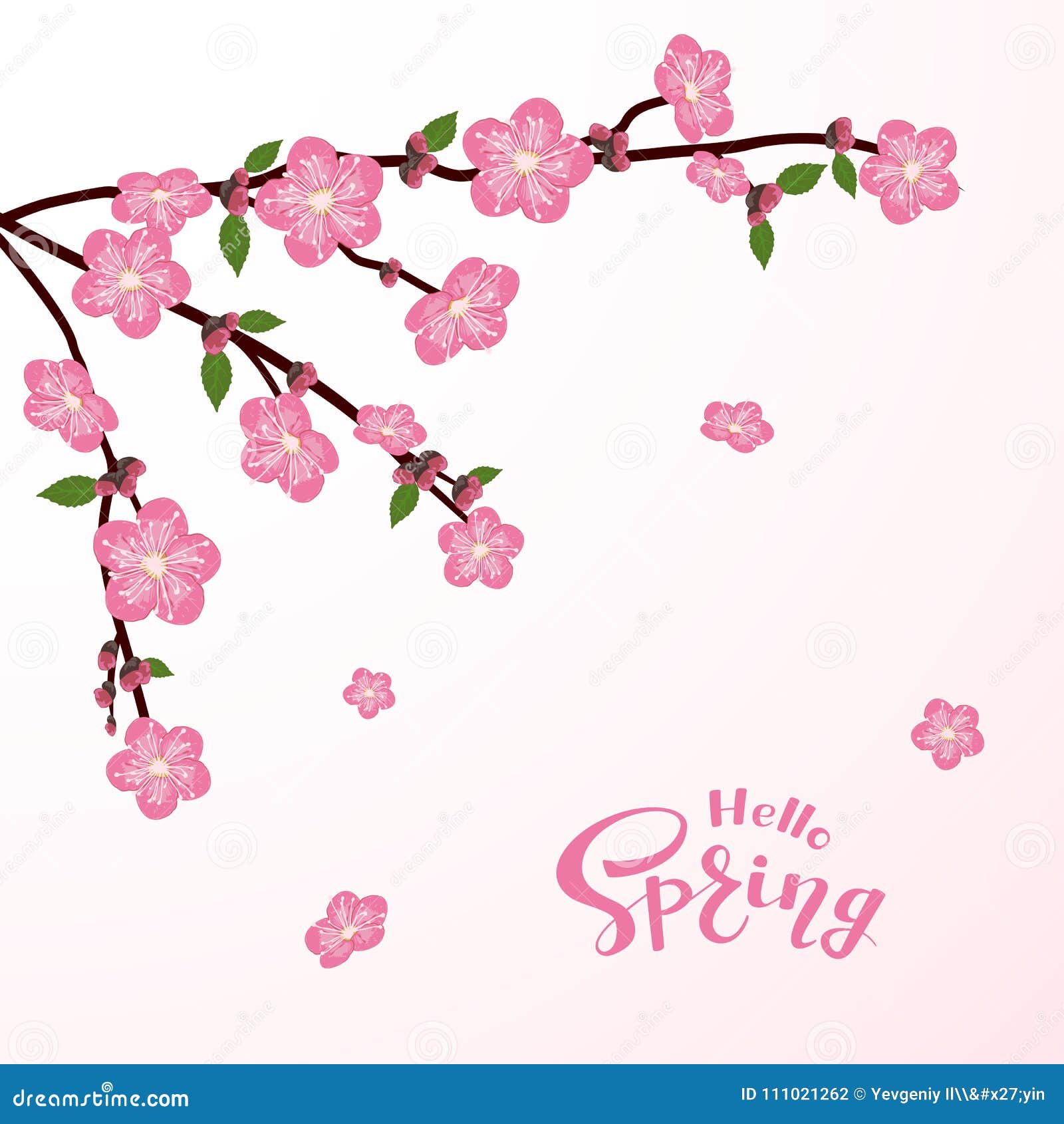 Cherry Tree Flower and Text Hello Spring Stock Vector - Illustration of ...