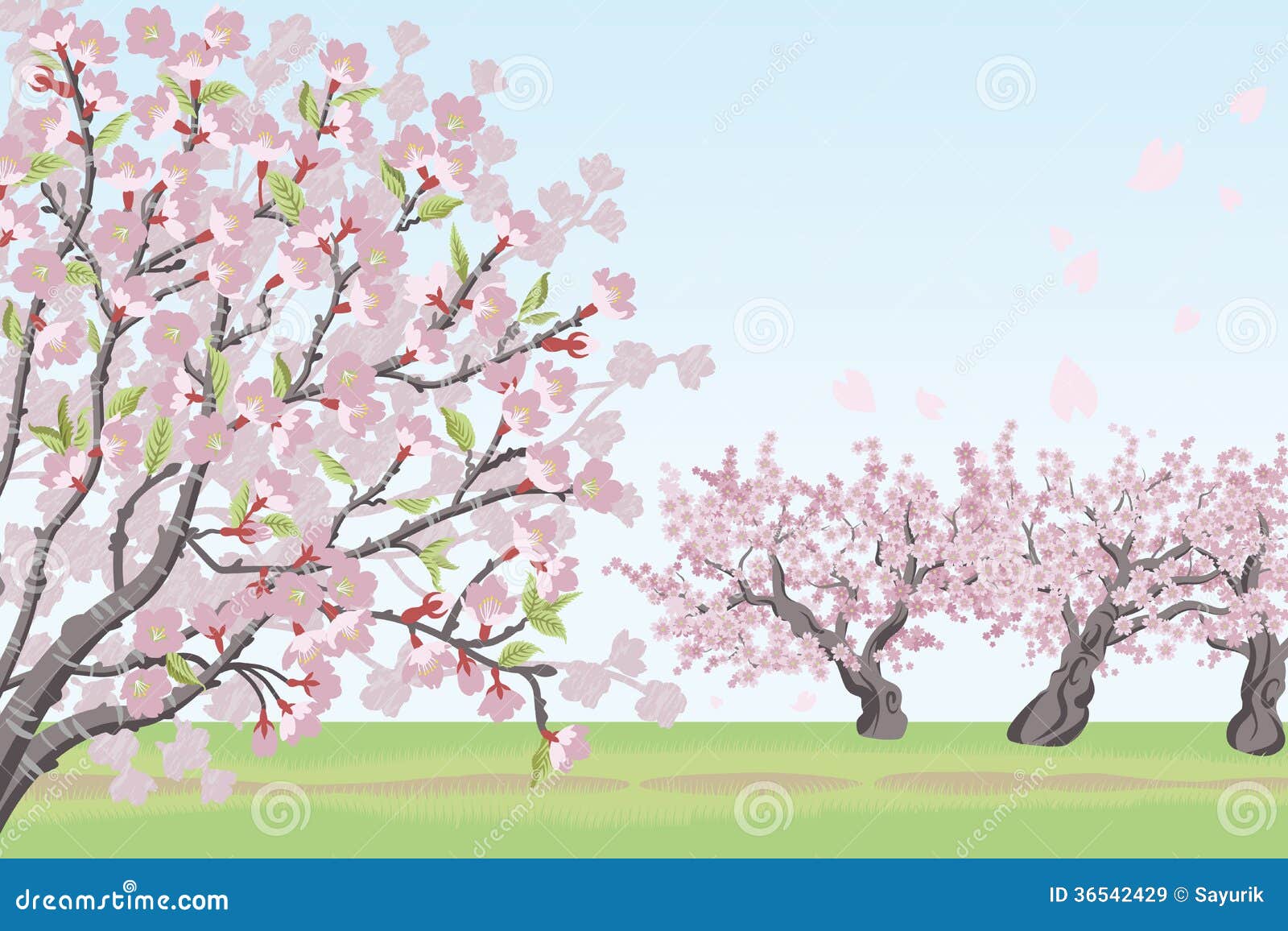 Cherry Tree landscape stock vector. Illustration of outdoor - 36542429