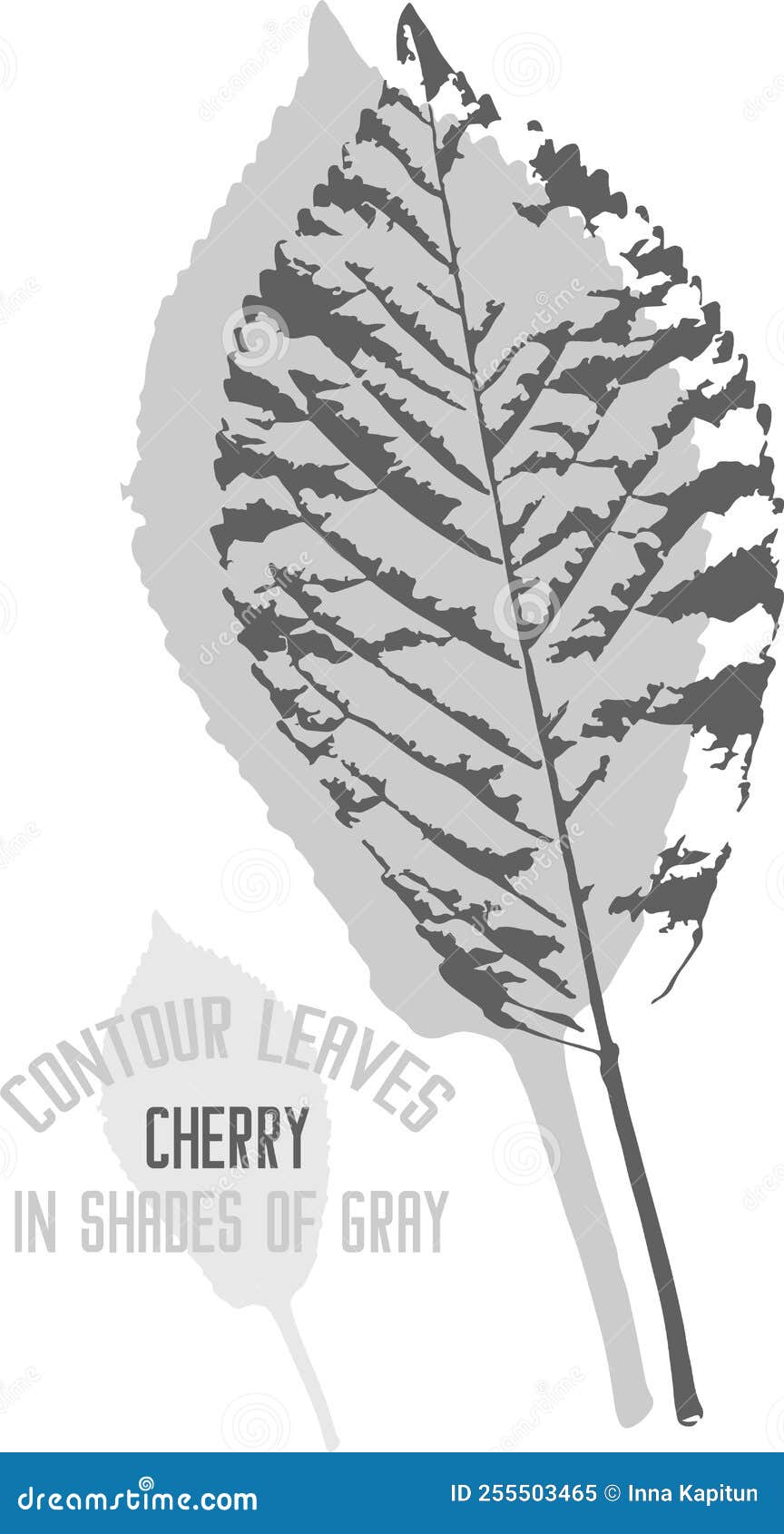 Cherry Tree Leafs Pattern Vector Illustration Stock Vector ...