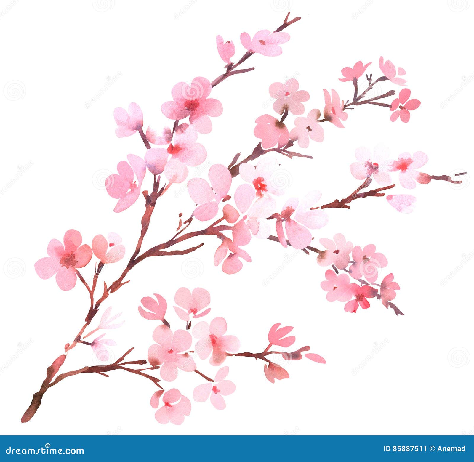 Cherry tree pink blossom stock illustration. Illustration of painting ...