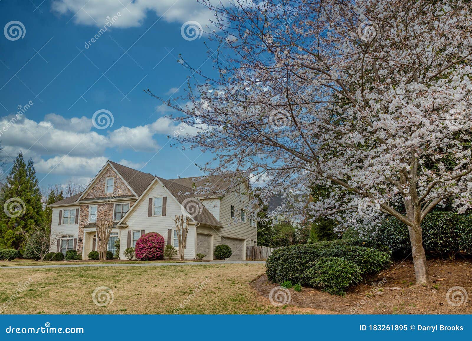 Cherry Tree by Stone and Siding Home Stock Image - Image of house ...