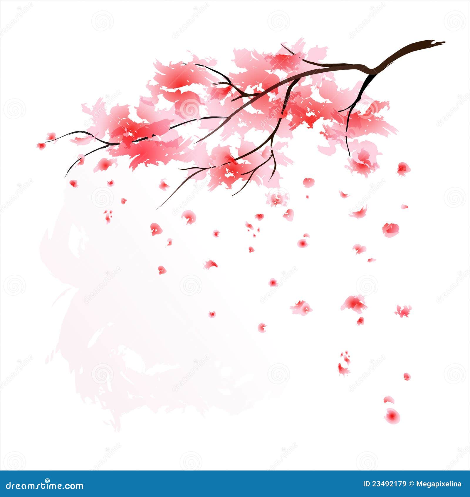 Cherry tree watercolor stock vector. Illustration of blossom - 23492179